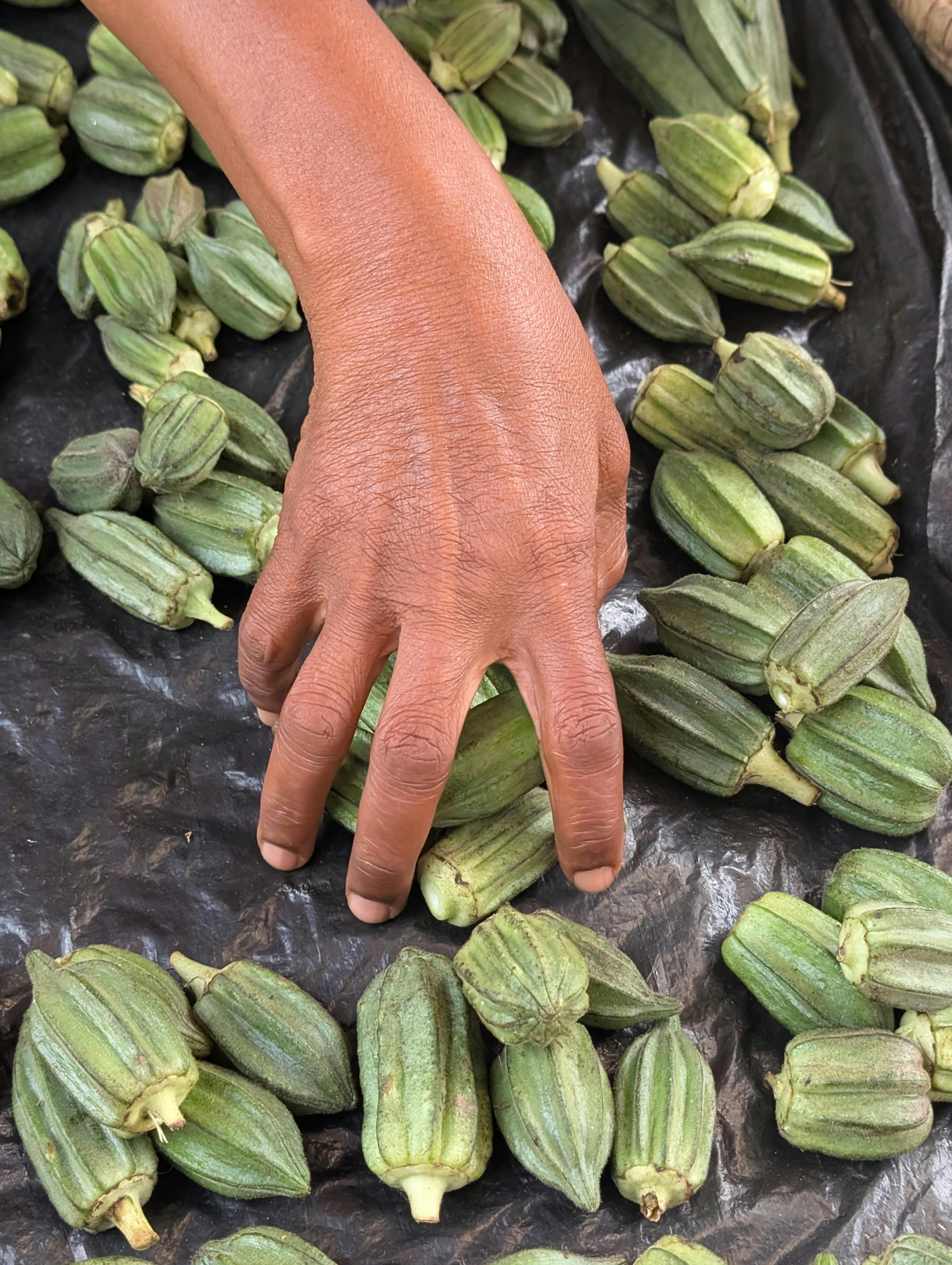 Hand Picking Fresh Okra from Market Stall · Free Stock Photo