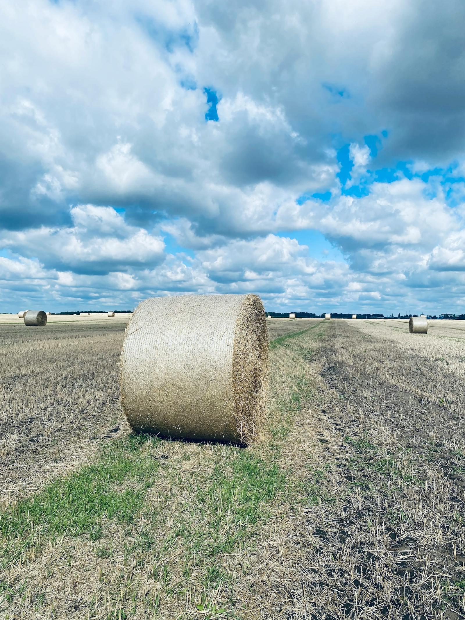 Cumulus Clouds Photos, Download The BEST Free Cumulus Clouds Stock ...