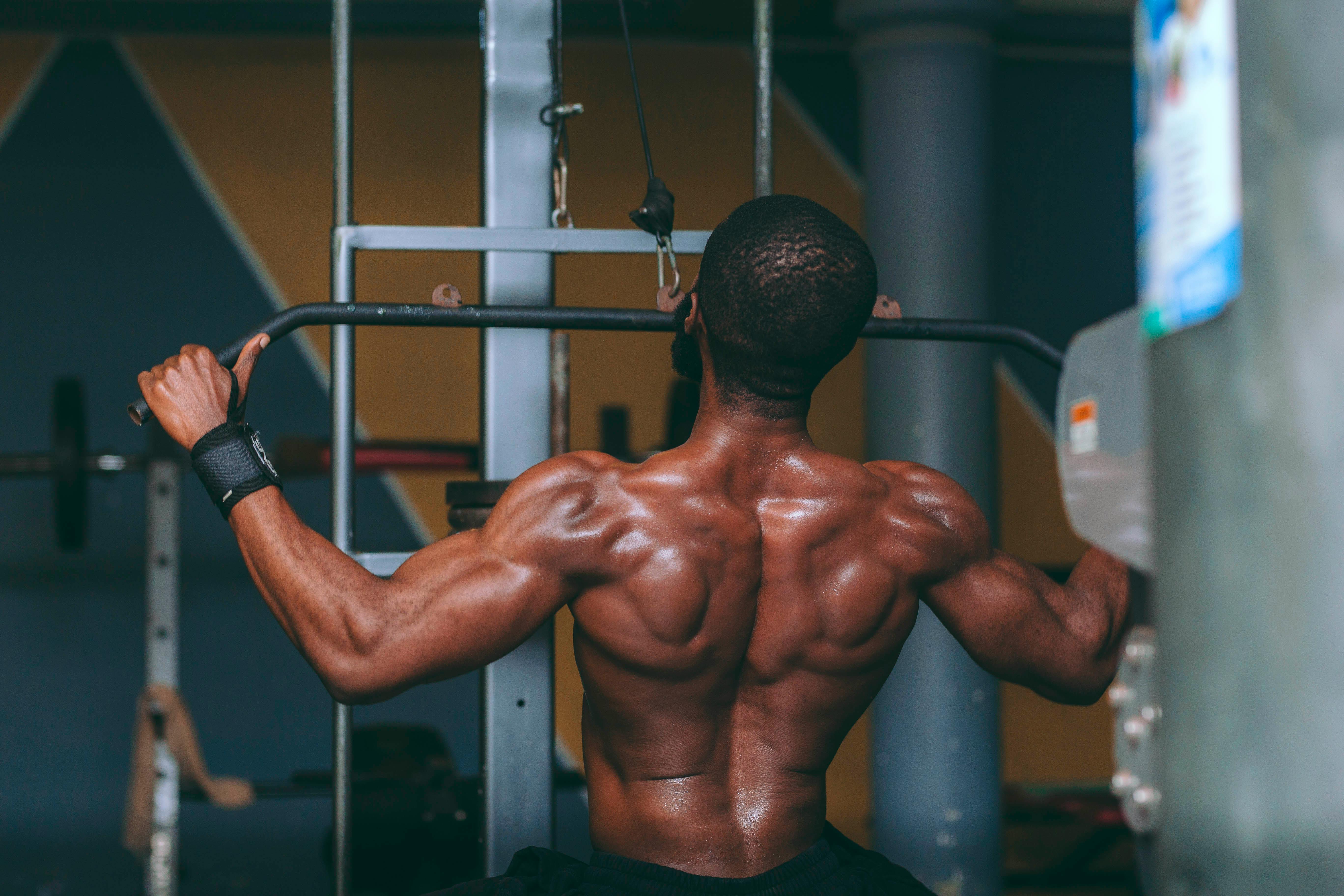 Muscular Men Photos, Download The BEST Free Muscular Men Stock Photos ...