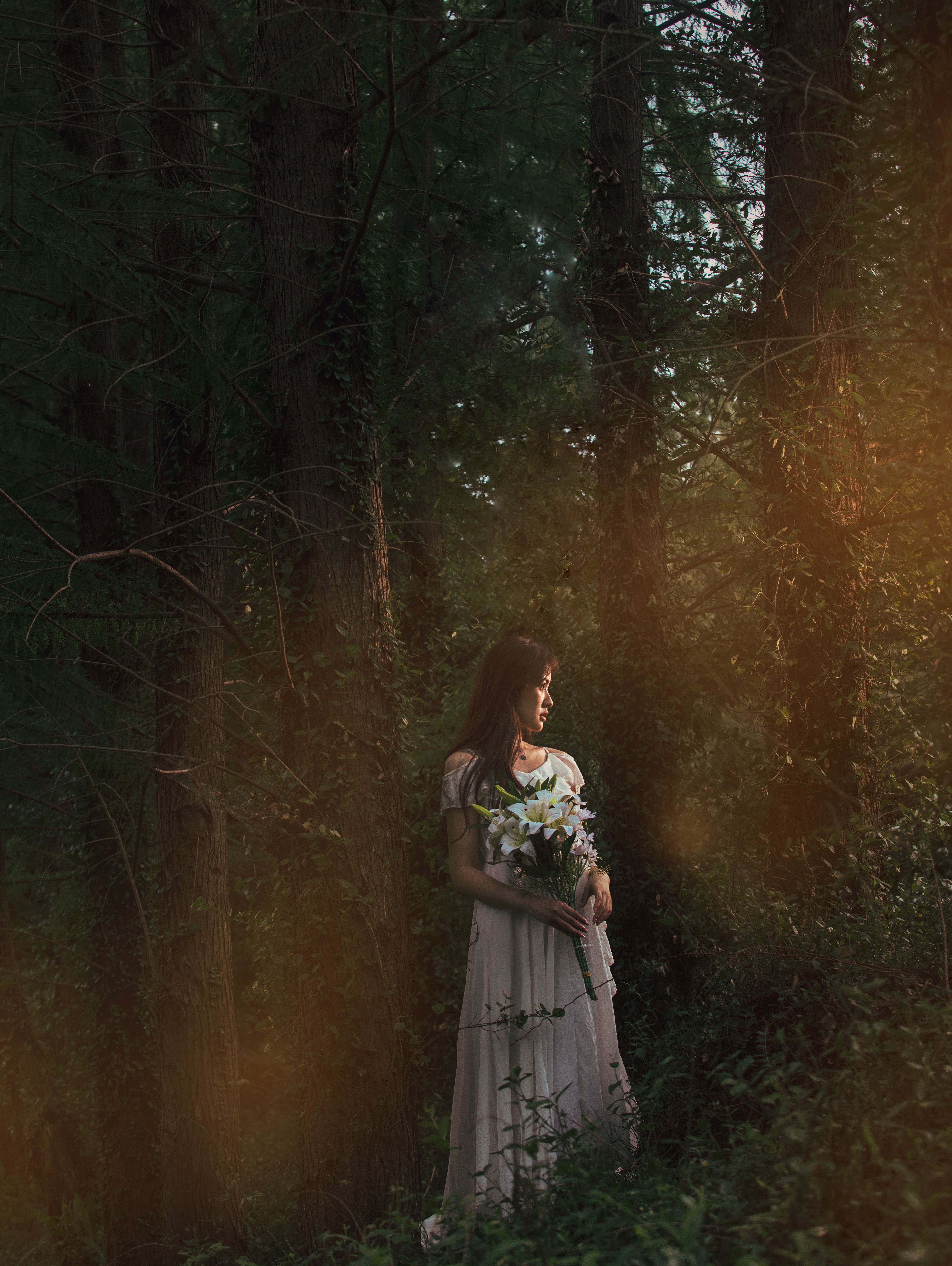 Gentle Magic Mood Board Photos, Download The BEST Free Gentle Magic ...