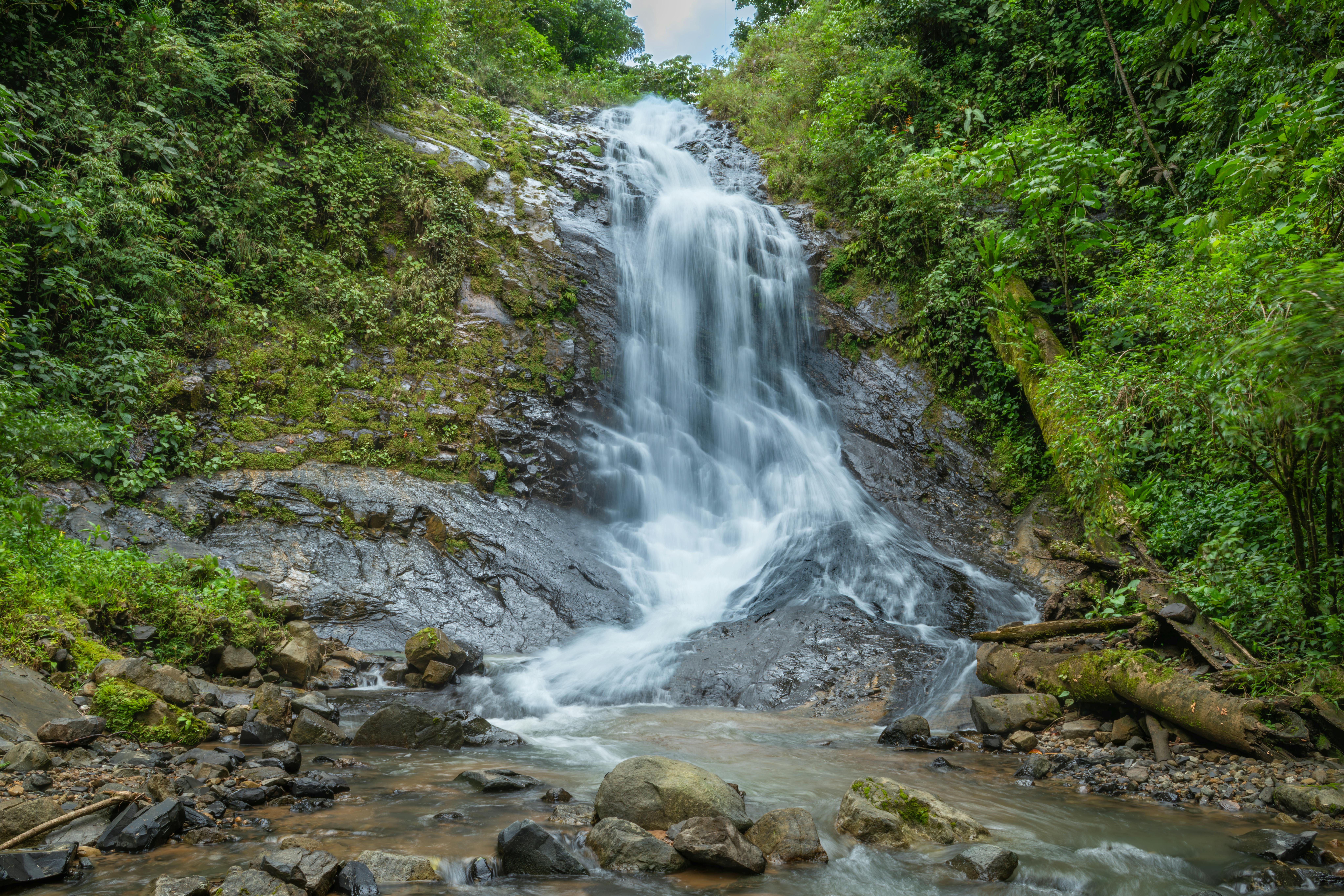 Rainforest Waterfall Photos, Download The BEST Free Rainforest ...