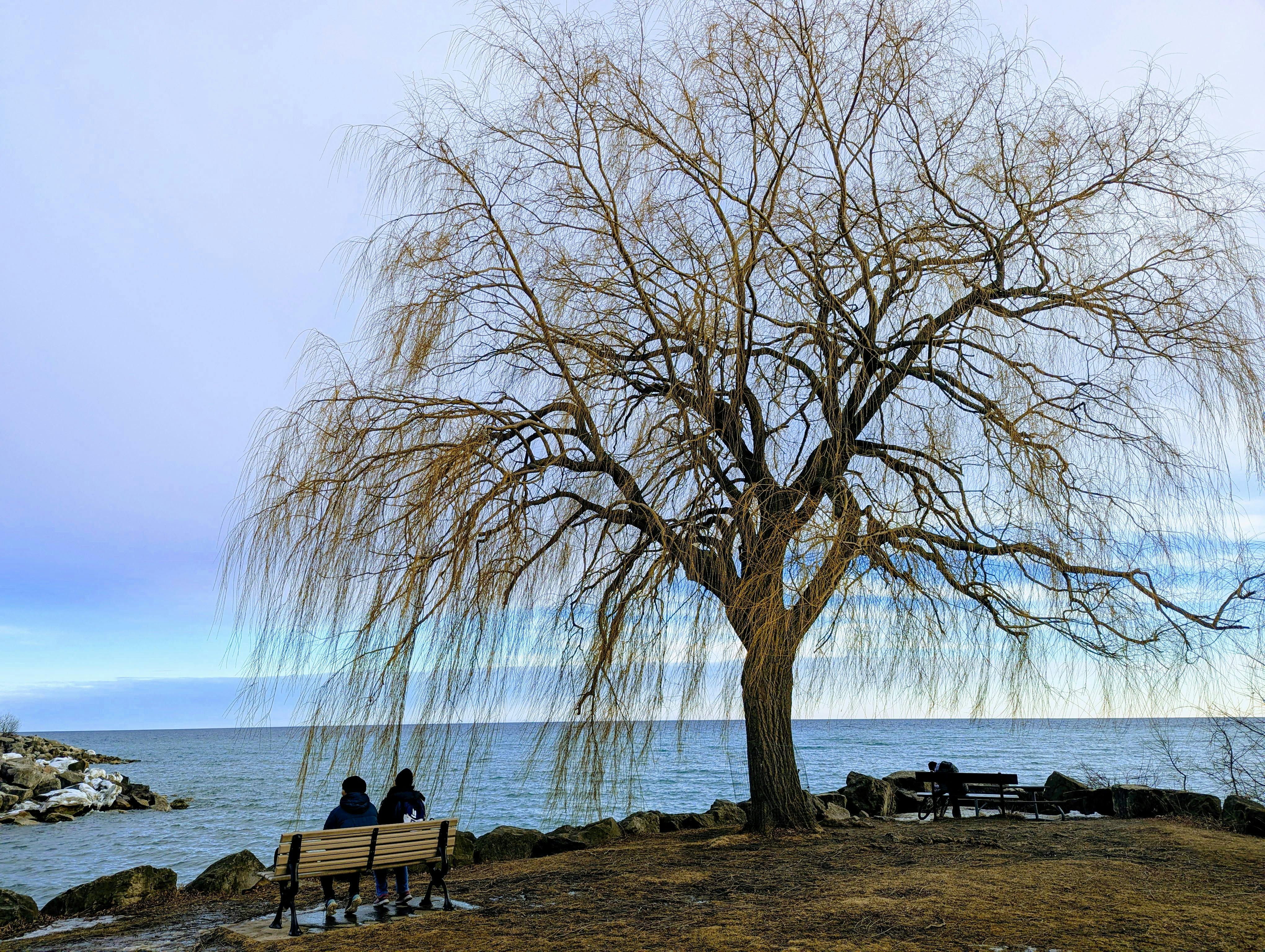 Mahindra Thar 4k Photos, Download The BEST Free Mahindra Thar 4k Stock ...