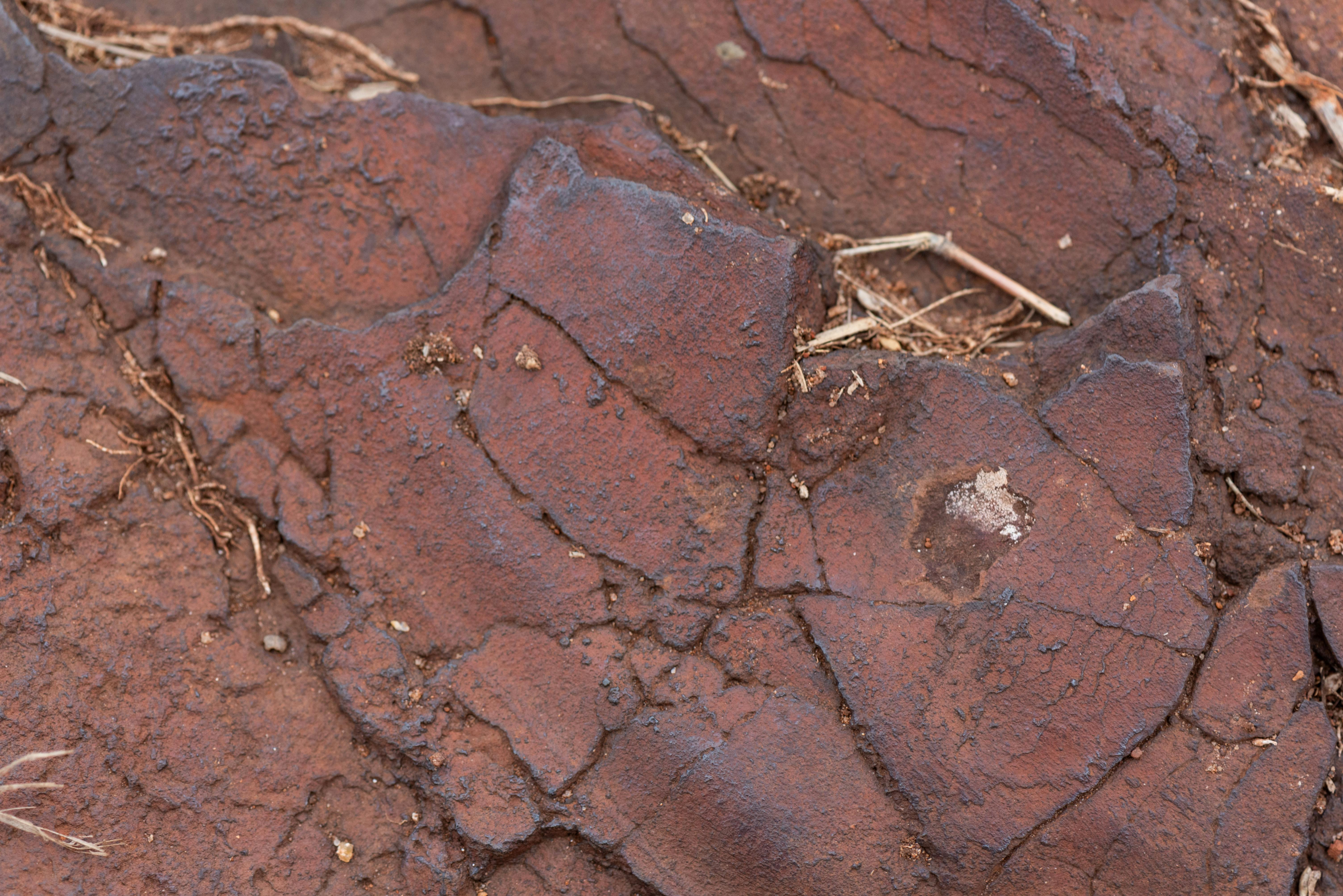 Dirt Texture Photos, Download The BEST Free Dirt Texture Stock Photos ...