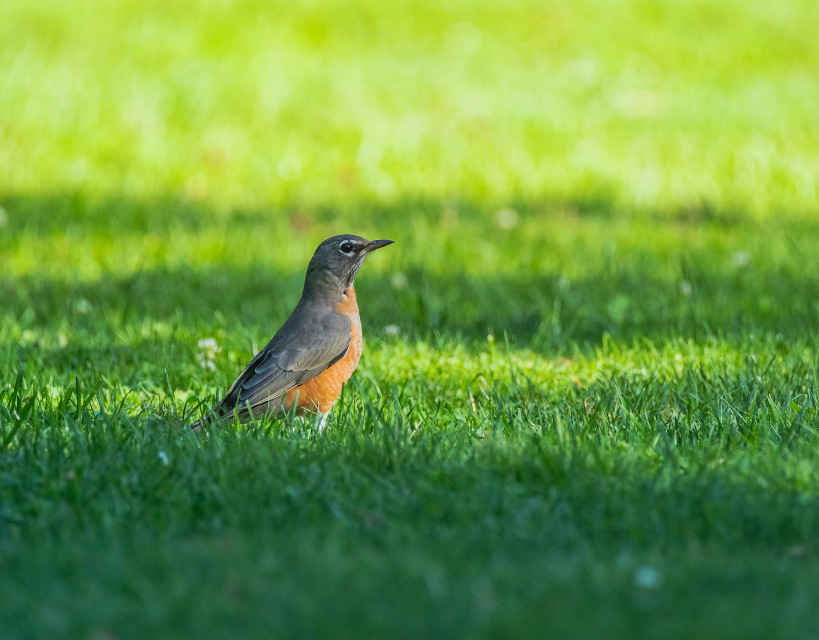 Free Pinterest Photos, Download The BEST Free Free Pinterest Stock ...