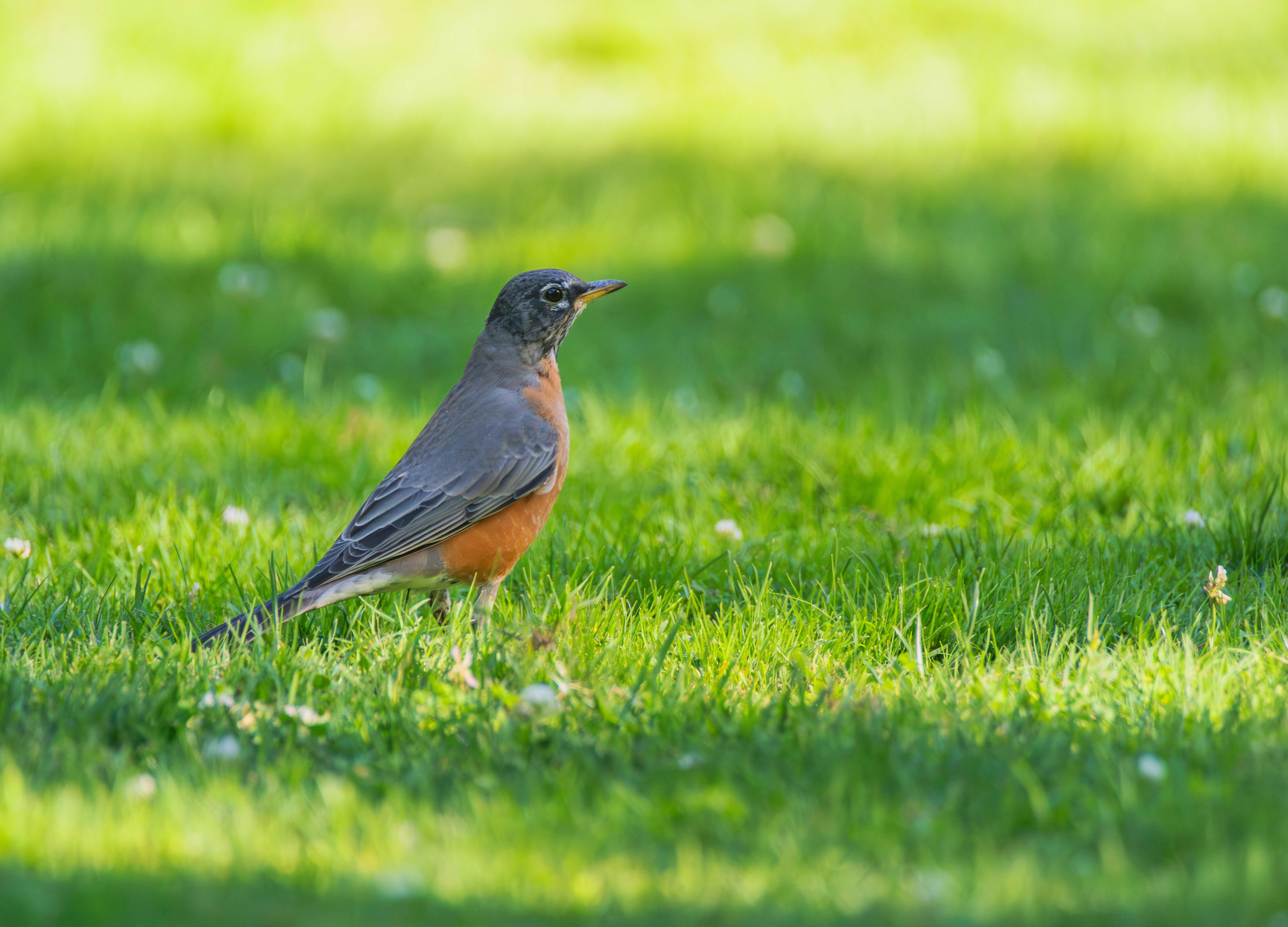 Audit Ethical Behaviour Photos, Download The BEST Free Audit Ethical ...