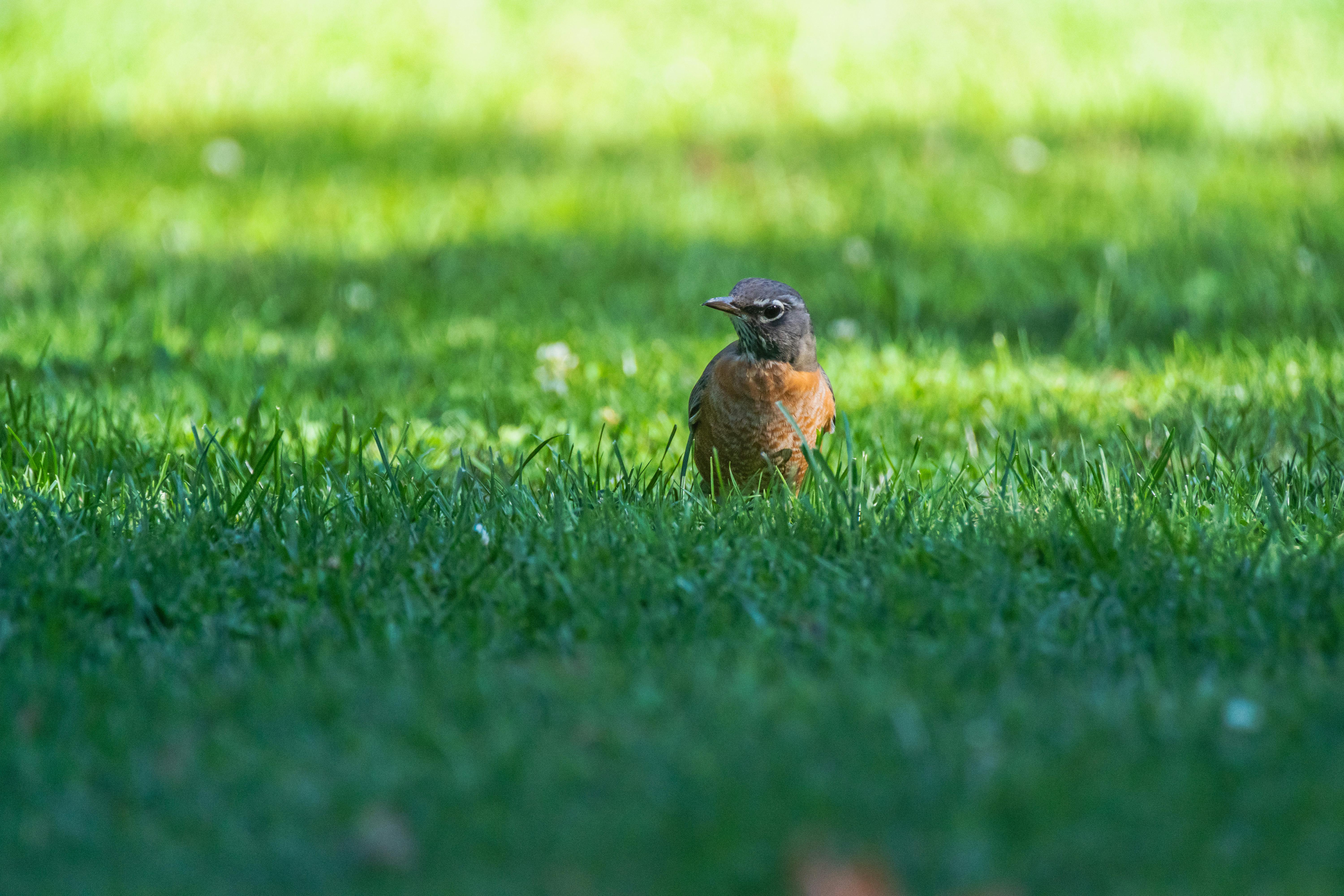 Tuff+Profile+Pics Photos, Download The BEST Free Tuff+Profile+Pics ...