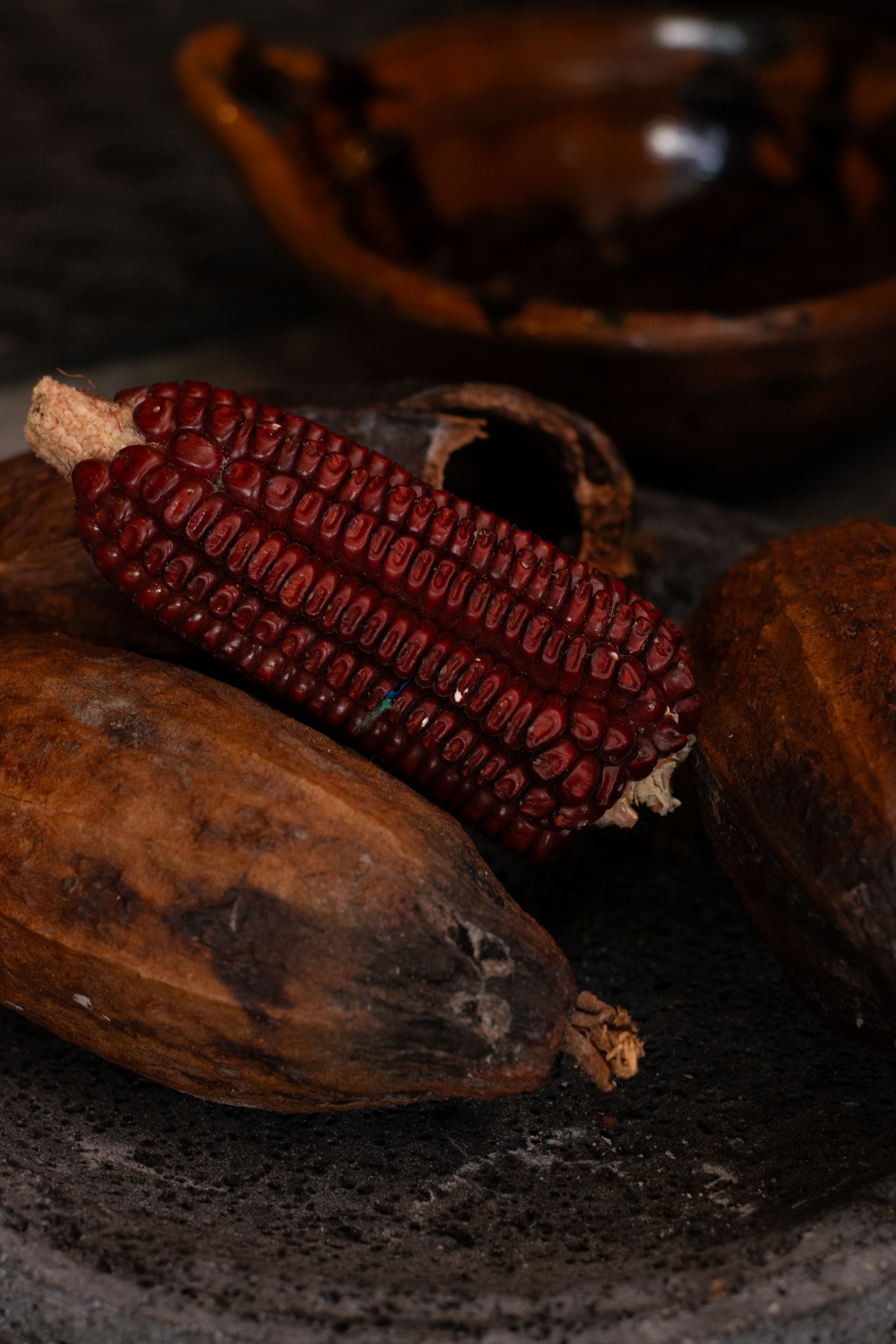 Close-Up of Red Corn and Cacao Pods · Free Stock Photo