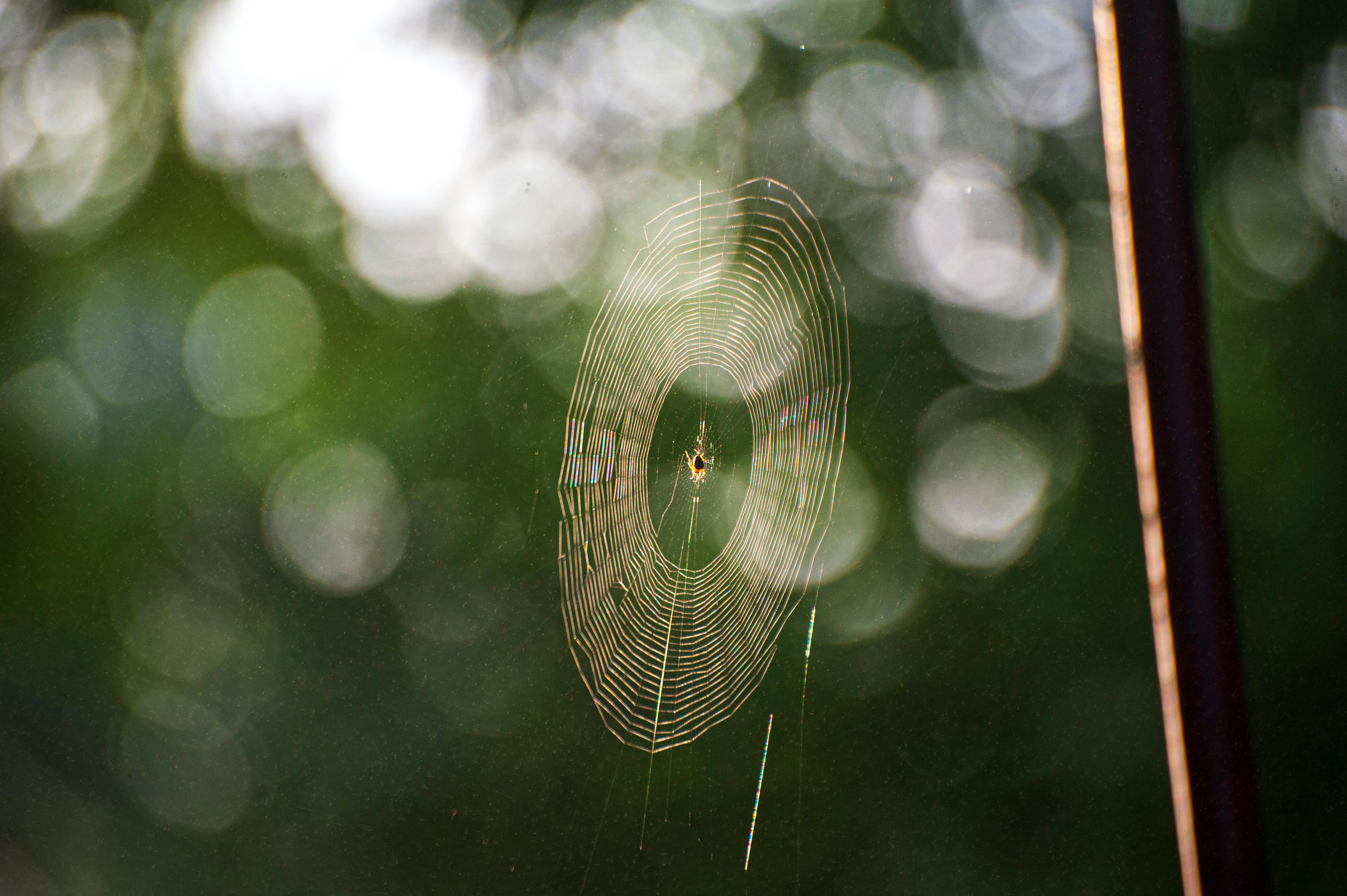 Circle Background Photos, Download The BEST Free Circle Background ...