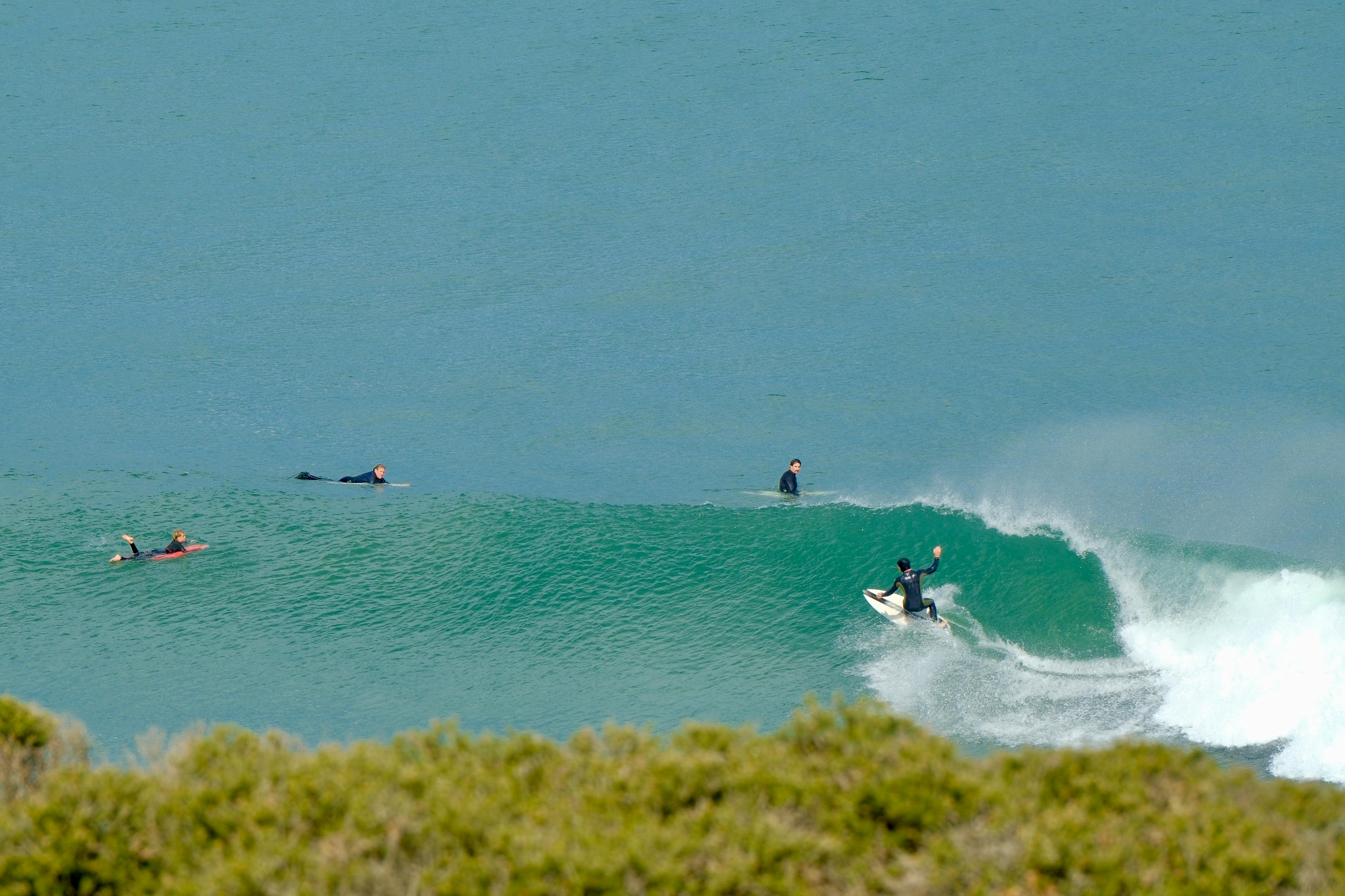 Fun Wallpapers Photos, Download The BEST Free Fun Wallpapers Stock ...