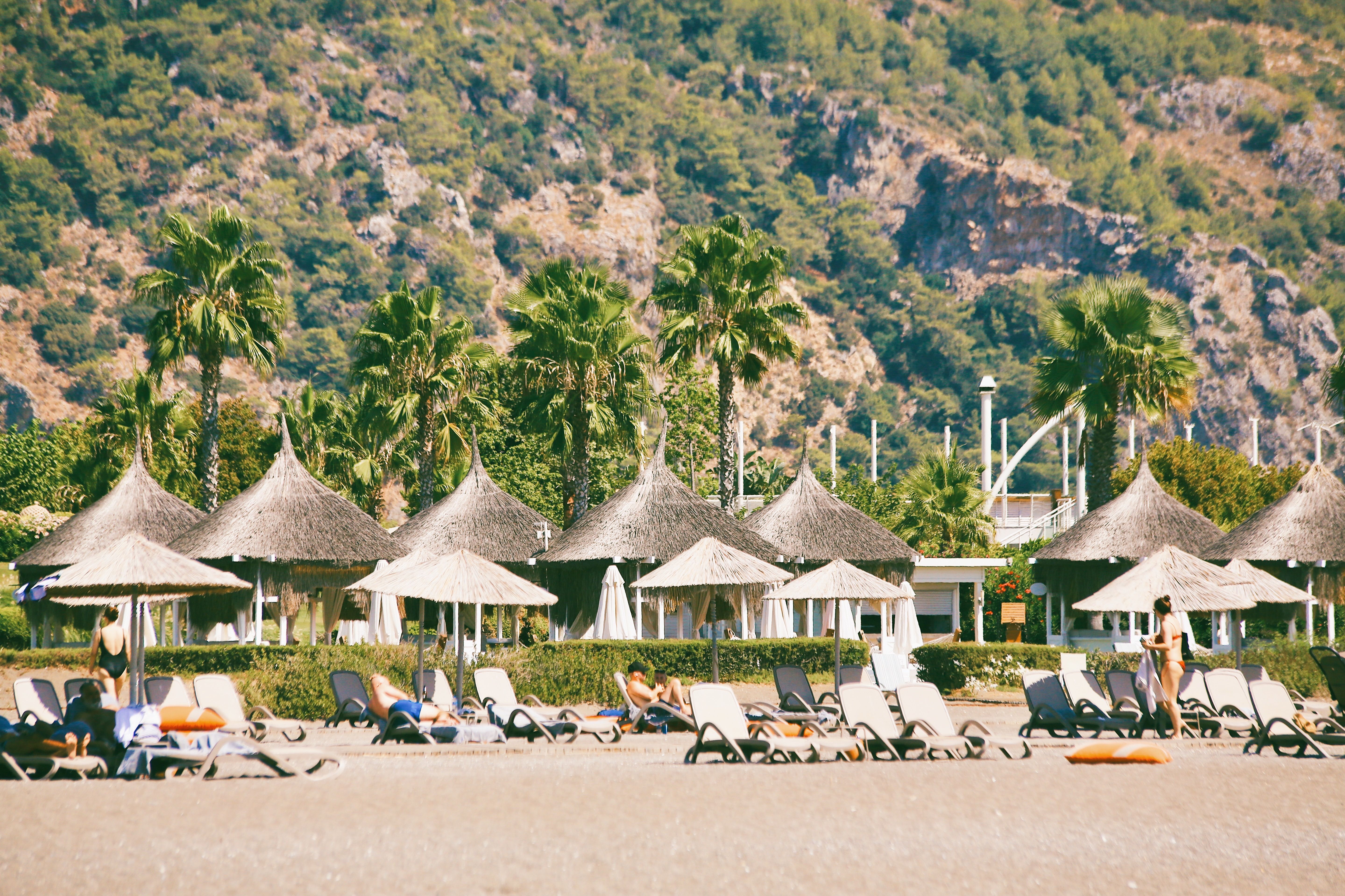 Sakura Resort Photos, Download The BEST Free Sakura Resort Stock Photos ...
