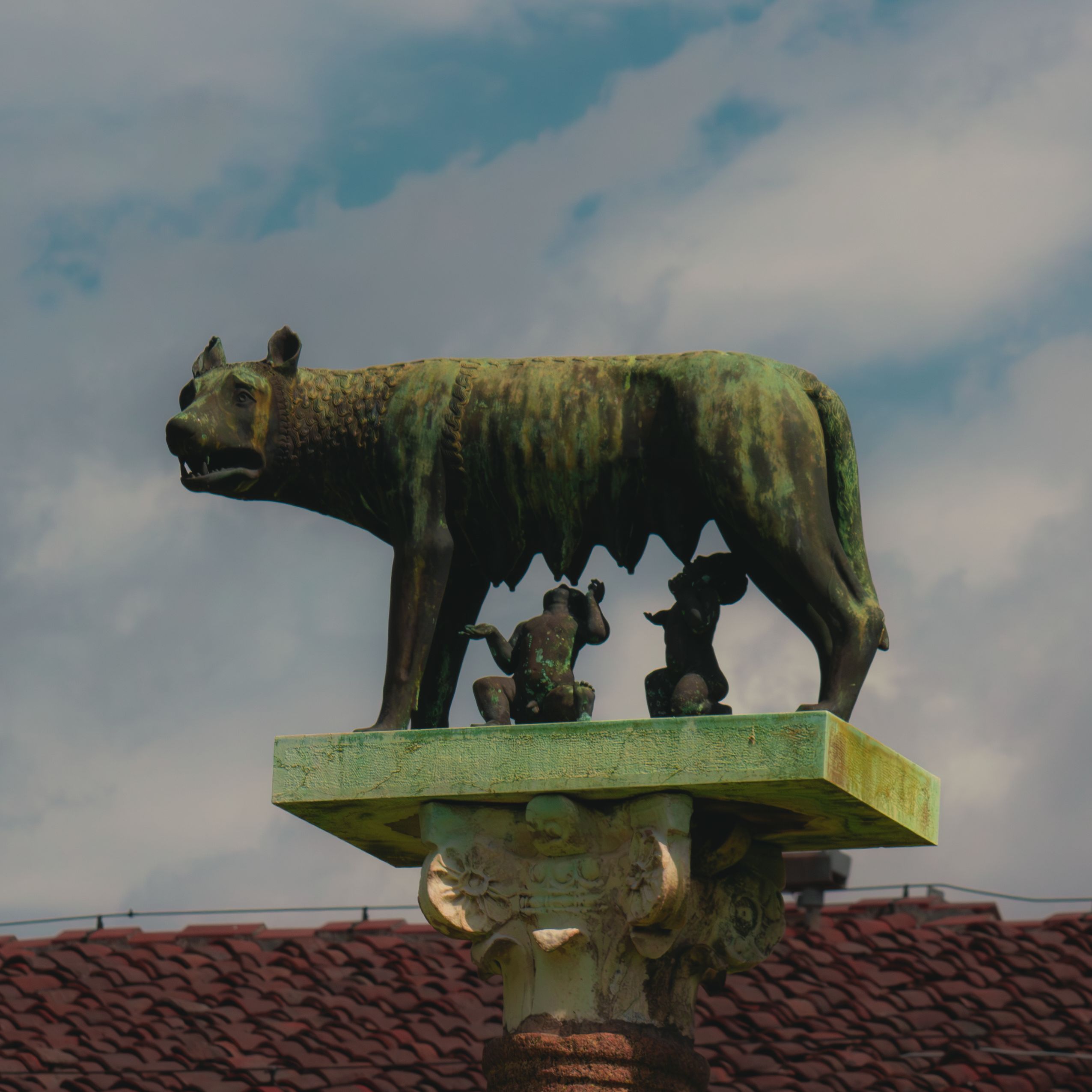 Wolf Statue Photos, Download The BEST Free Wolf Statue Stock Photos ...