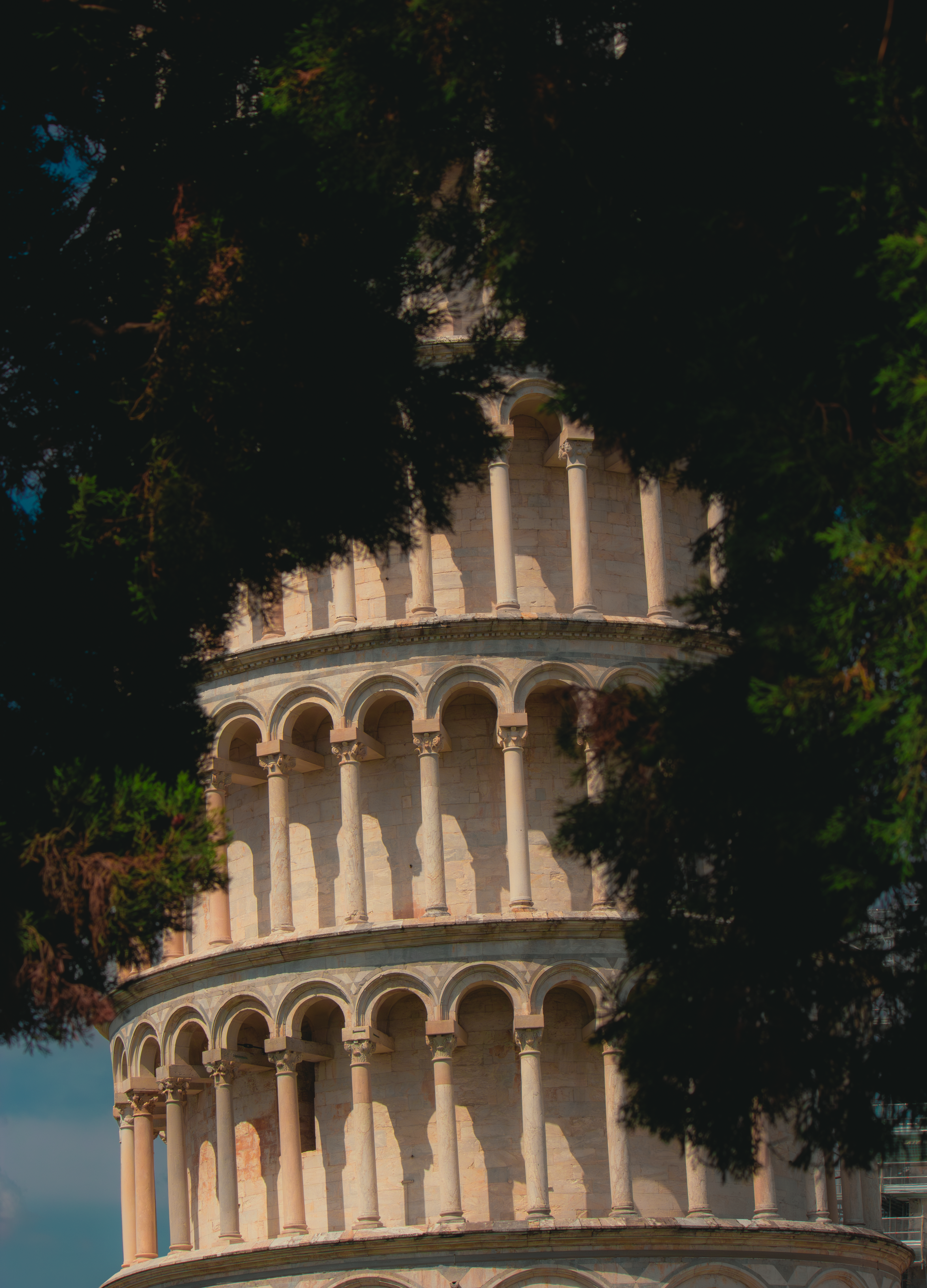 Leaning Tower of Pisa Framed by Trees · Free Stock Photo
