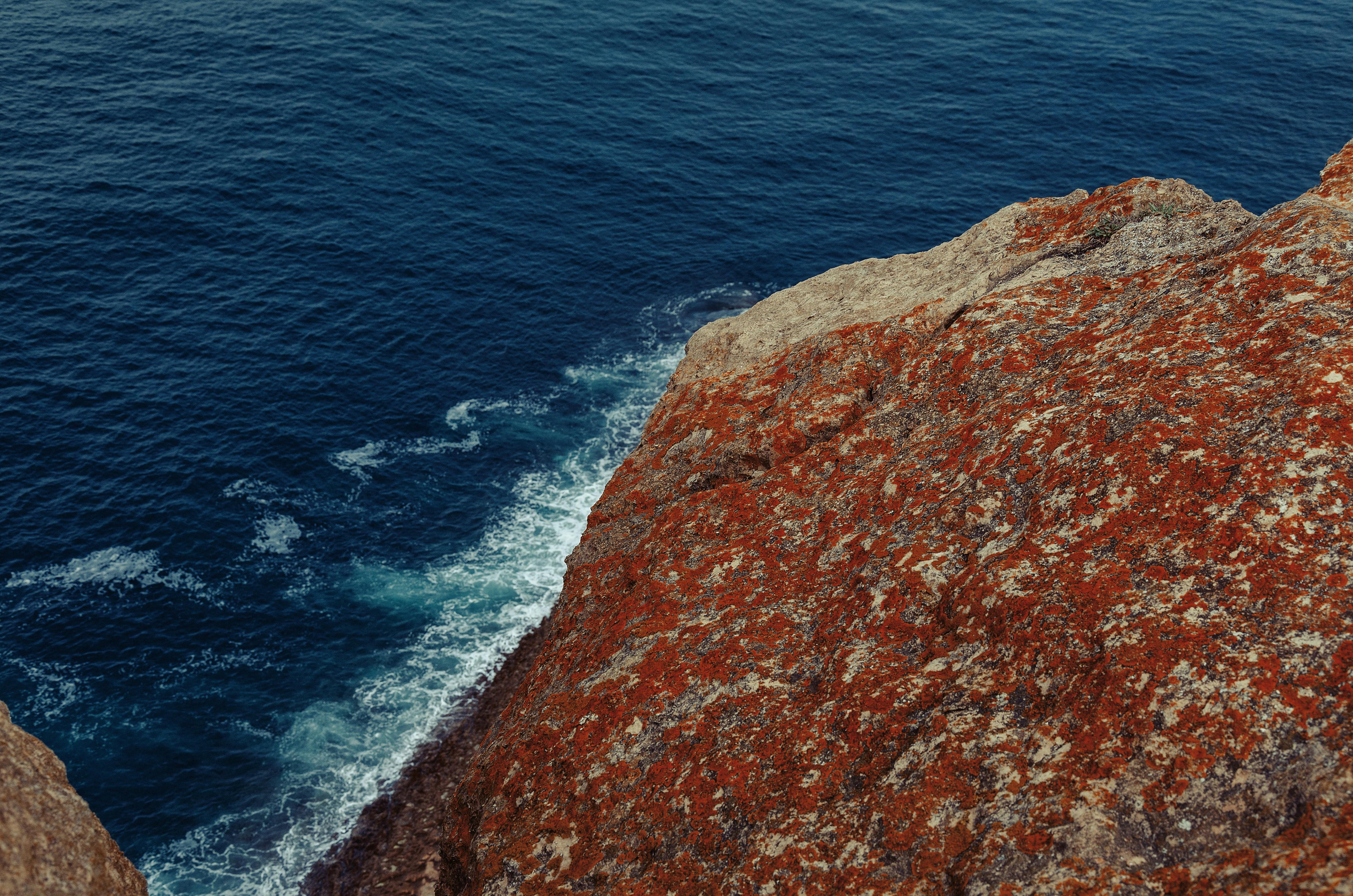 Bleeding Edge Photos, Download The BEST Free Bleeding Edge Stock Photos ...