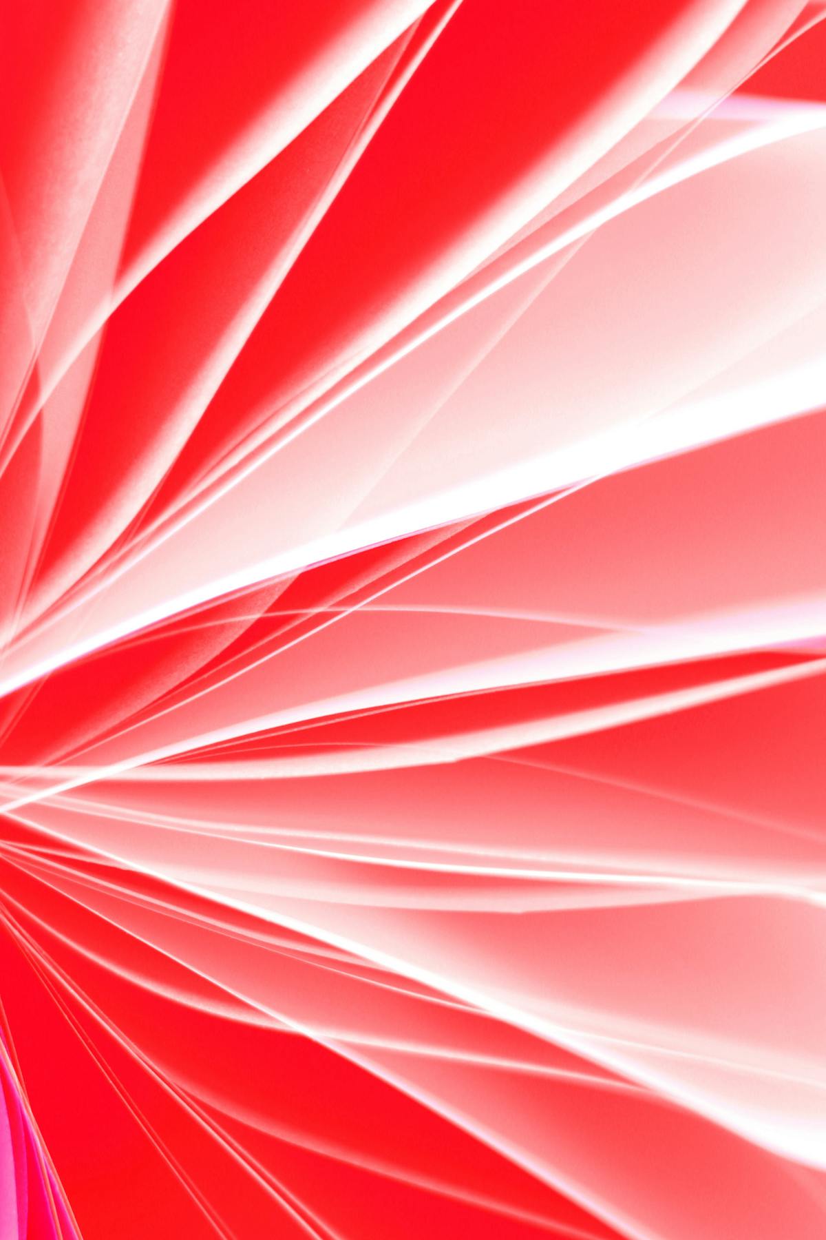 Light Red Background Photos, Download The BEST Free Light Red ...
