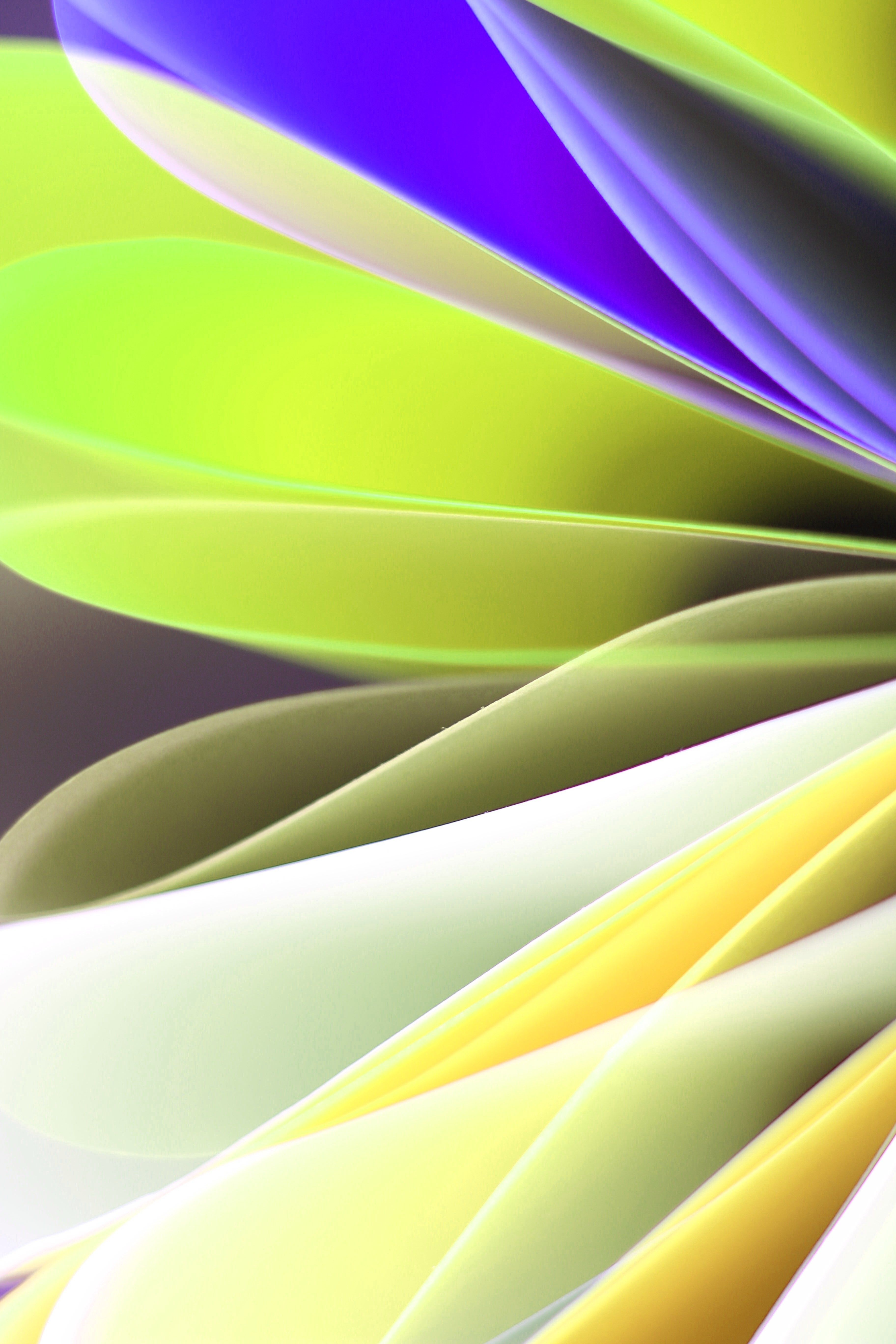 Colorful Abstract Paper Composition Art · Free Stock Photo