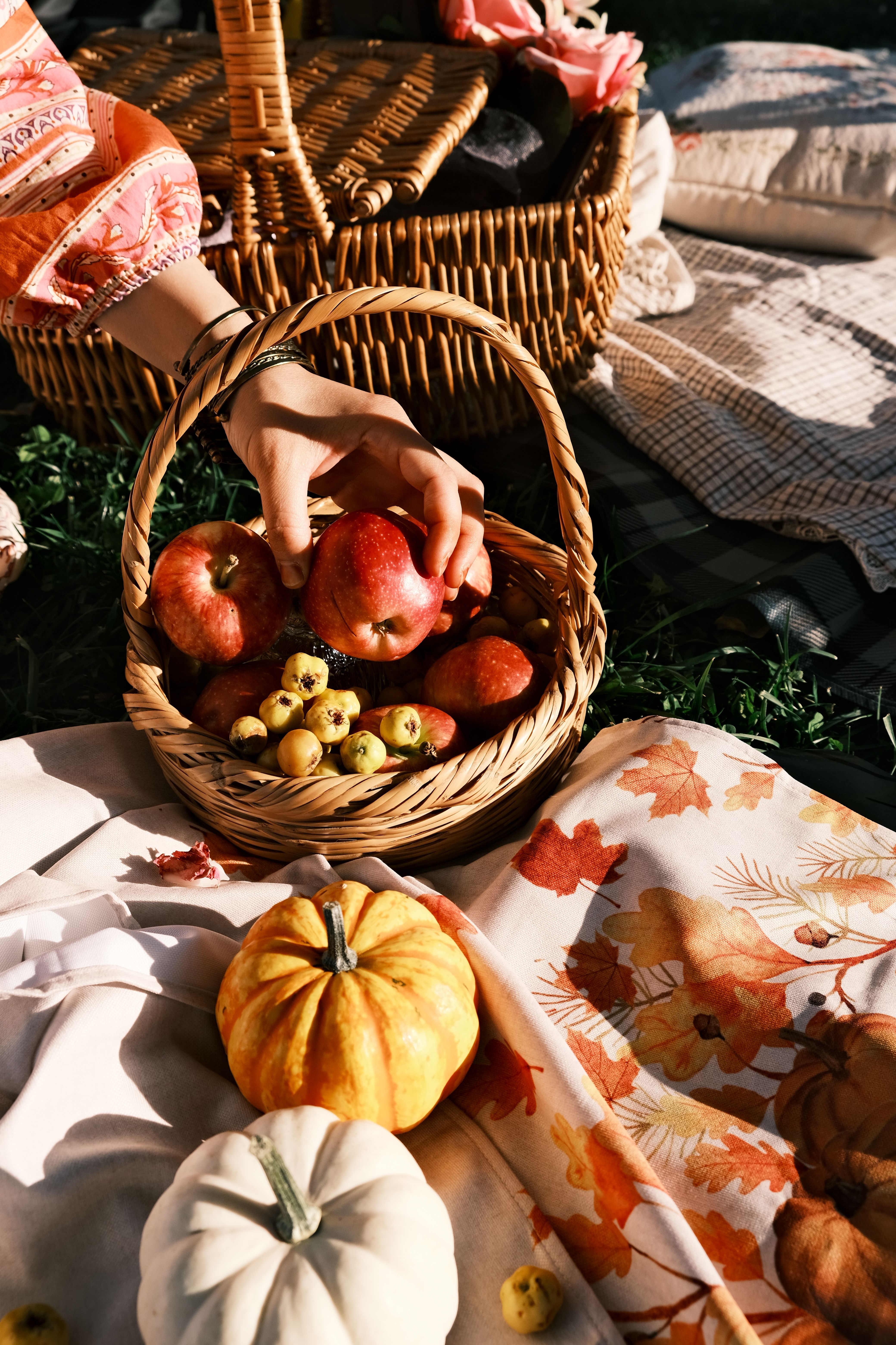 Autumn Picnic with Apples and Pumpkins · Free Stock Photo