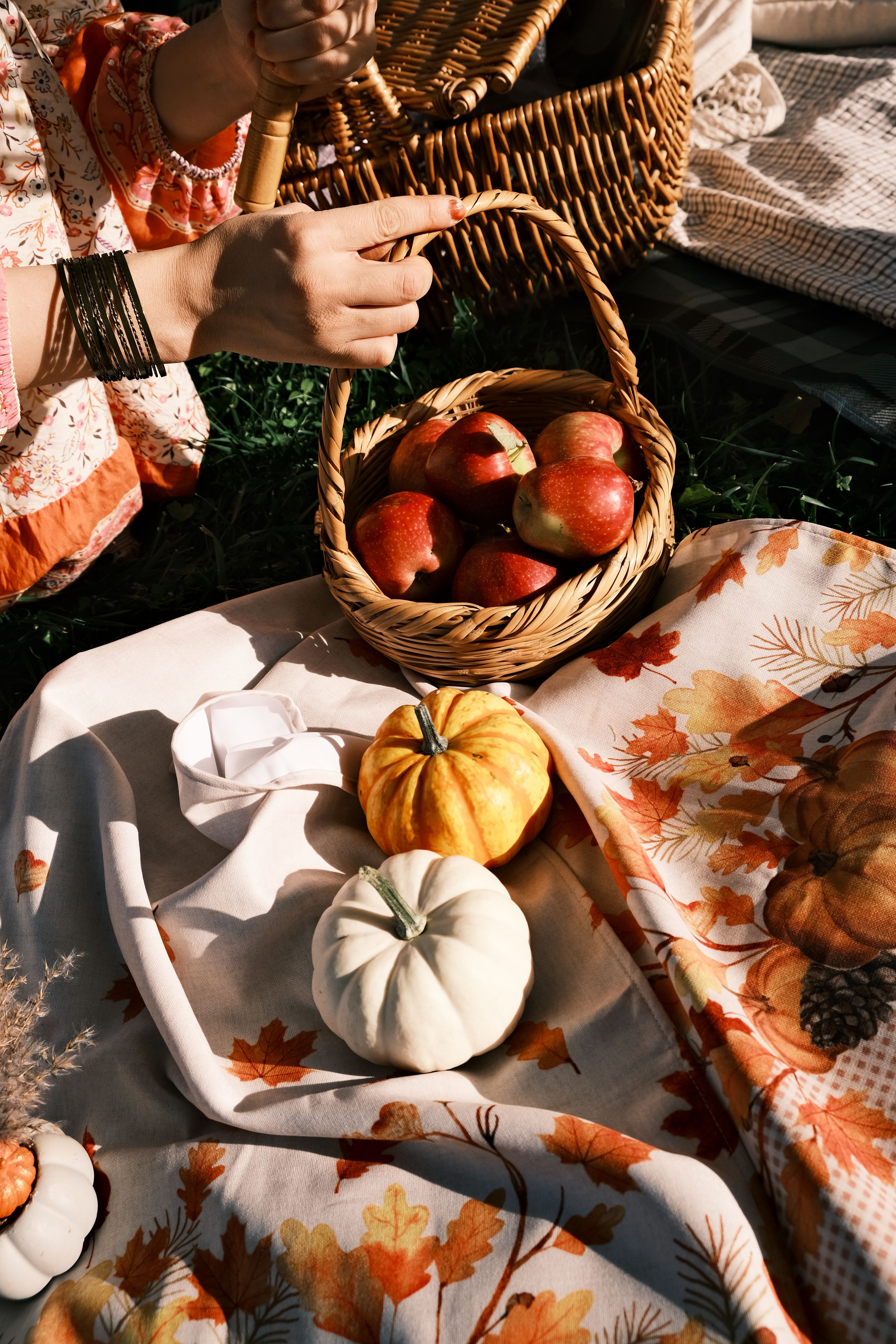 Autumn Picnic with Apples and Pumpkins · Free Stock Photo