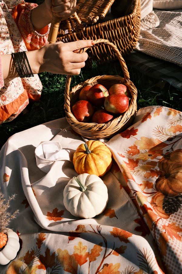 Autumn Picnic Photos, Download The BEST Free Autumn Picnic Stock Photos ...