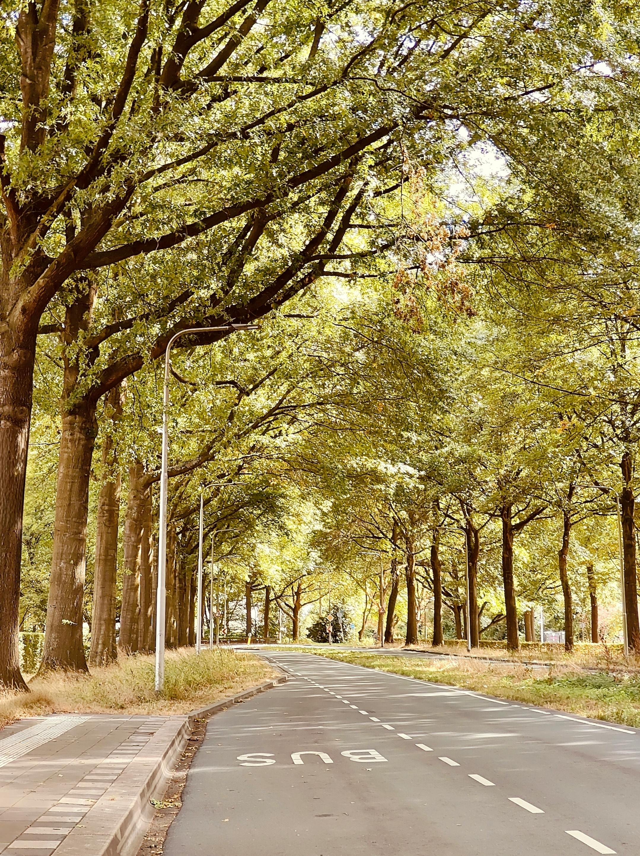 Japanese+Aesthetic+Pfp Photos, Download The BEST Free Japanese ...