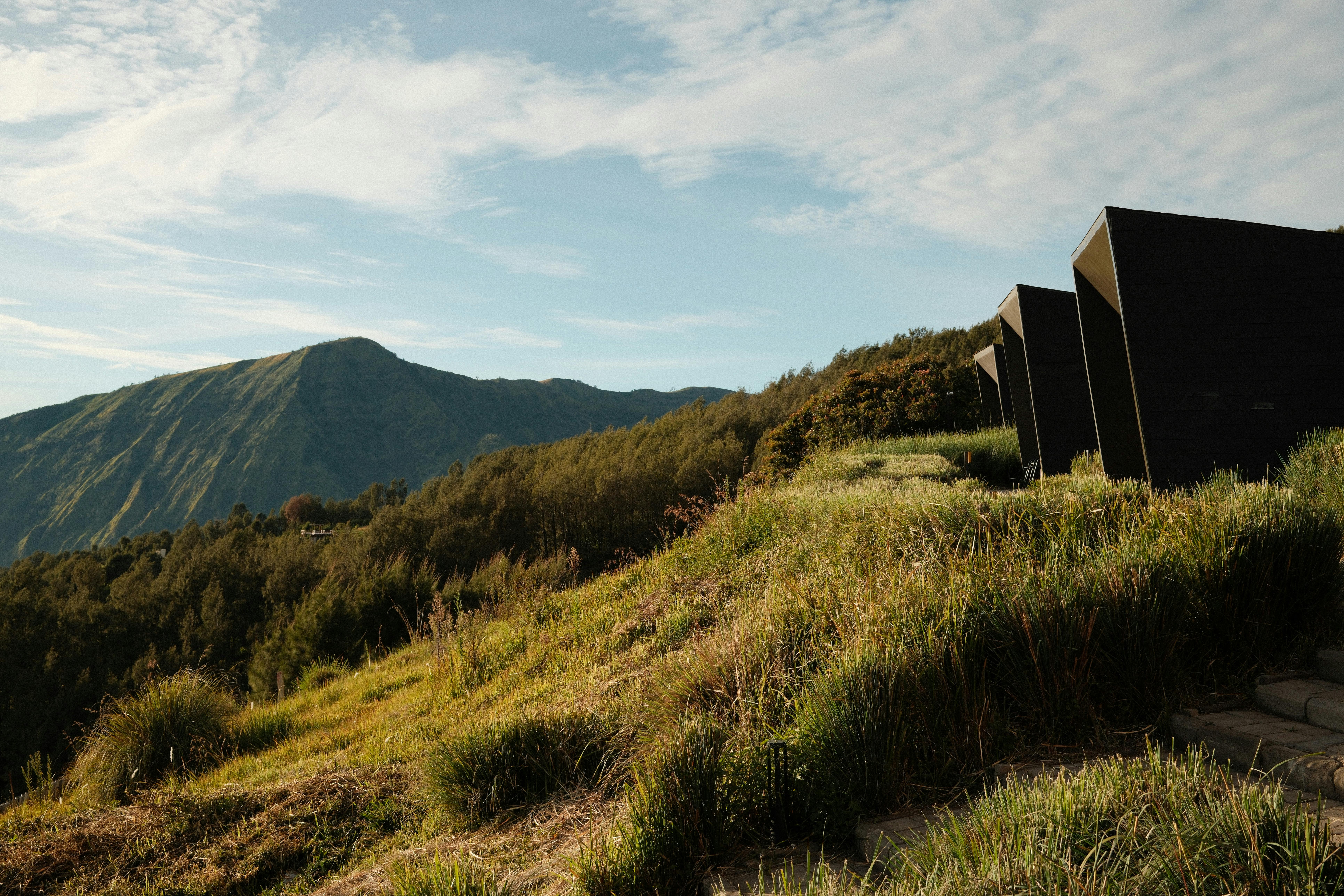 Nature View Photos, Download The BEST Free Nature View Stock Photos ...