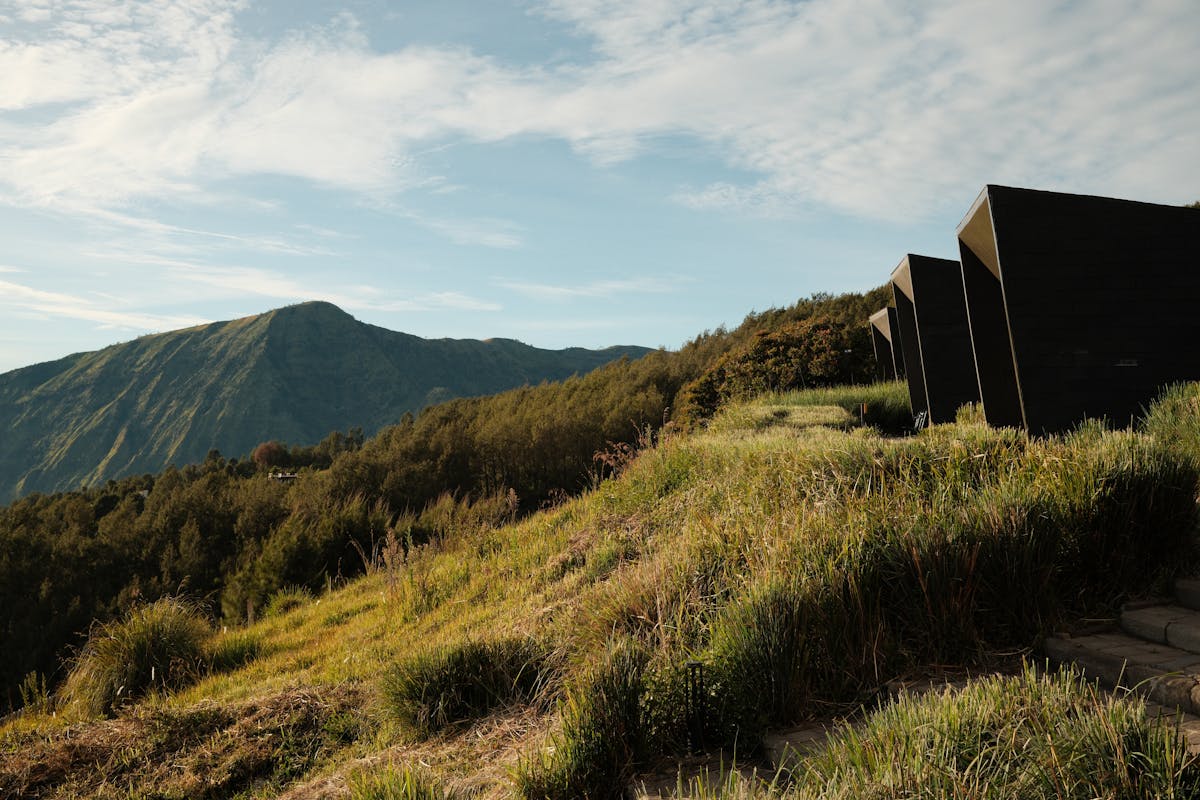 Nature View Photos, Download The BEST Free Nature View Stock Photos ...