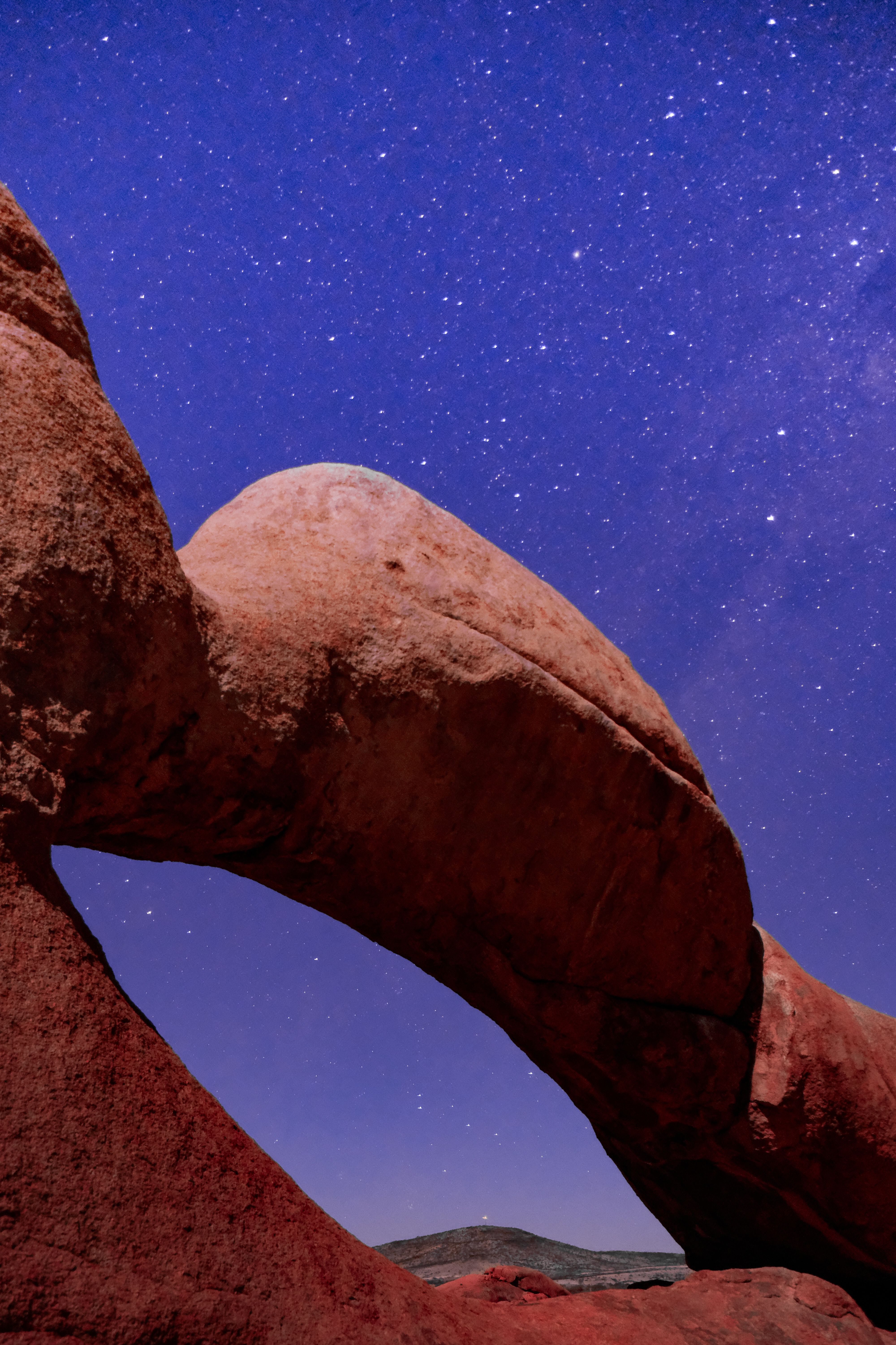Tree Under Starry Sky · Free Stock Photo