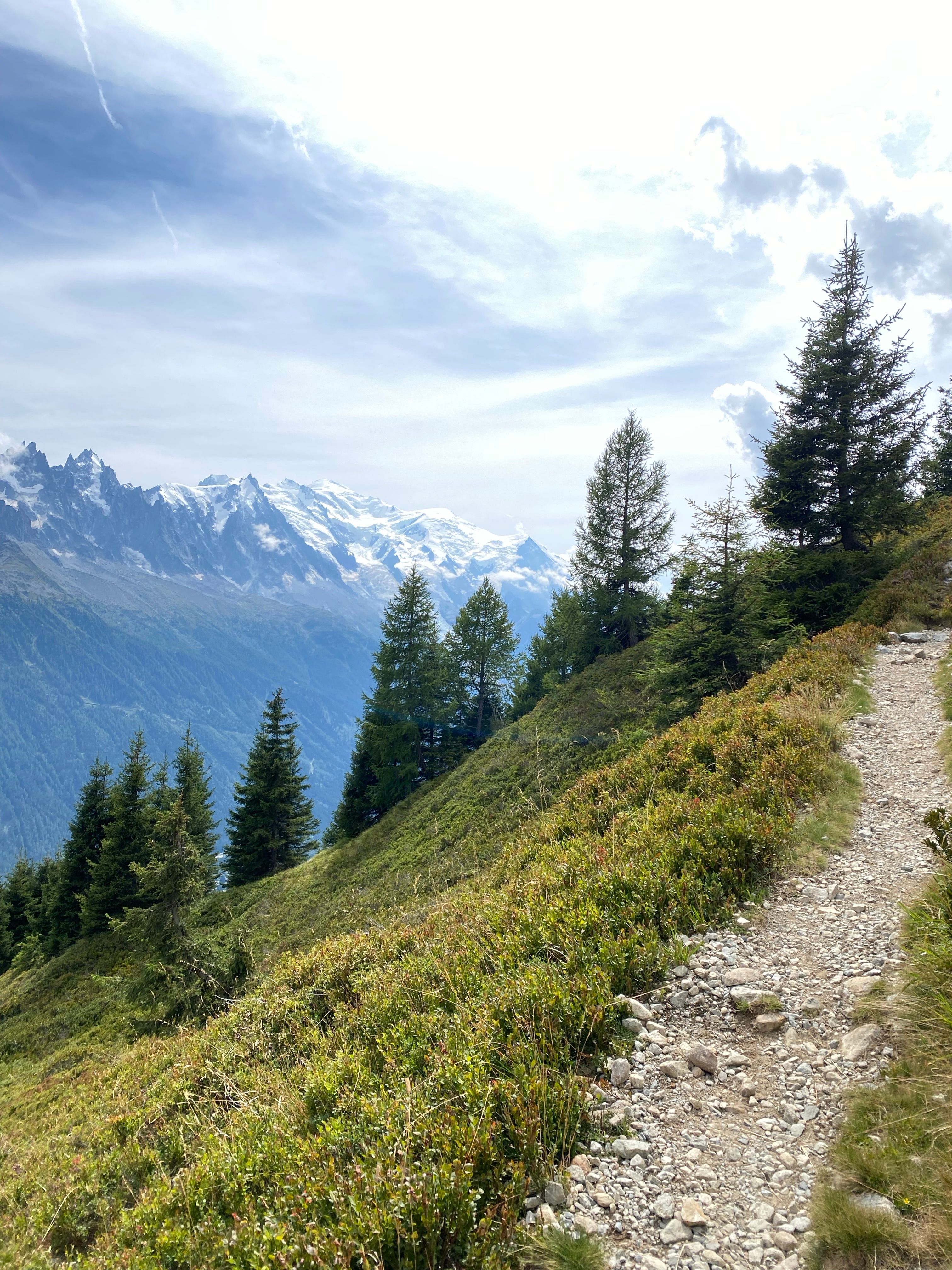 Scenic Mountain Trail in Alpine Landscape · Free Stock Photo