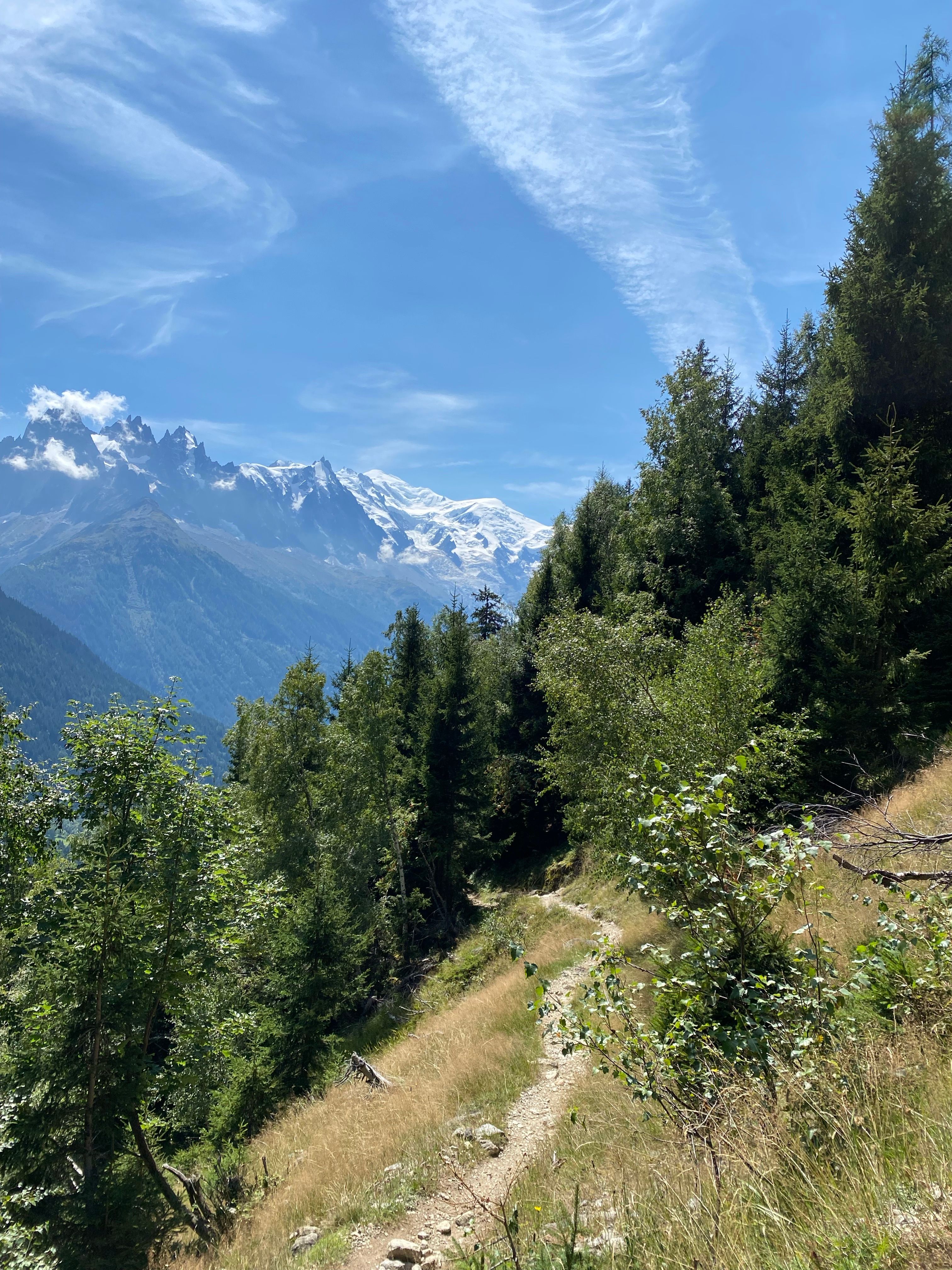 Scenic Alpine Trail with Majestic Mountain View · Free Stock Photo