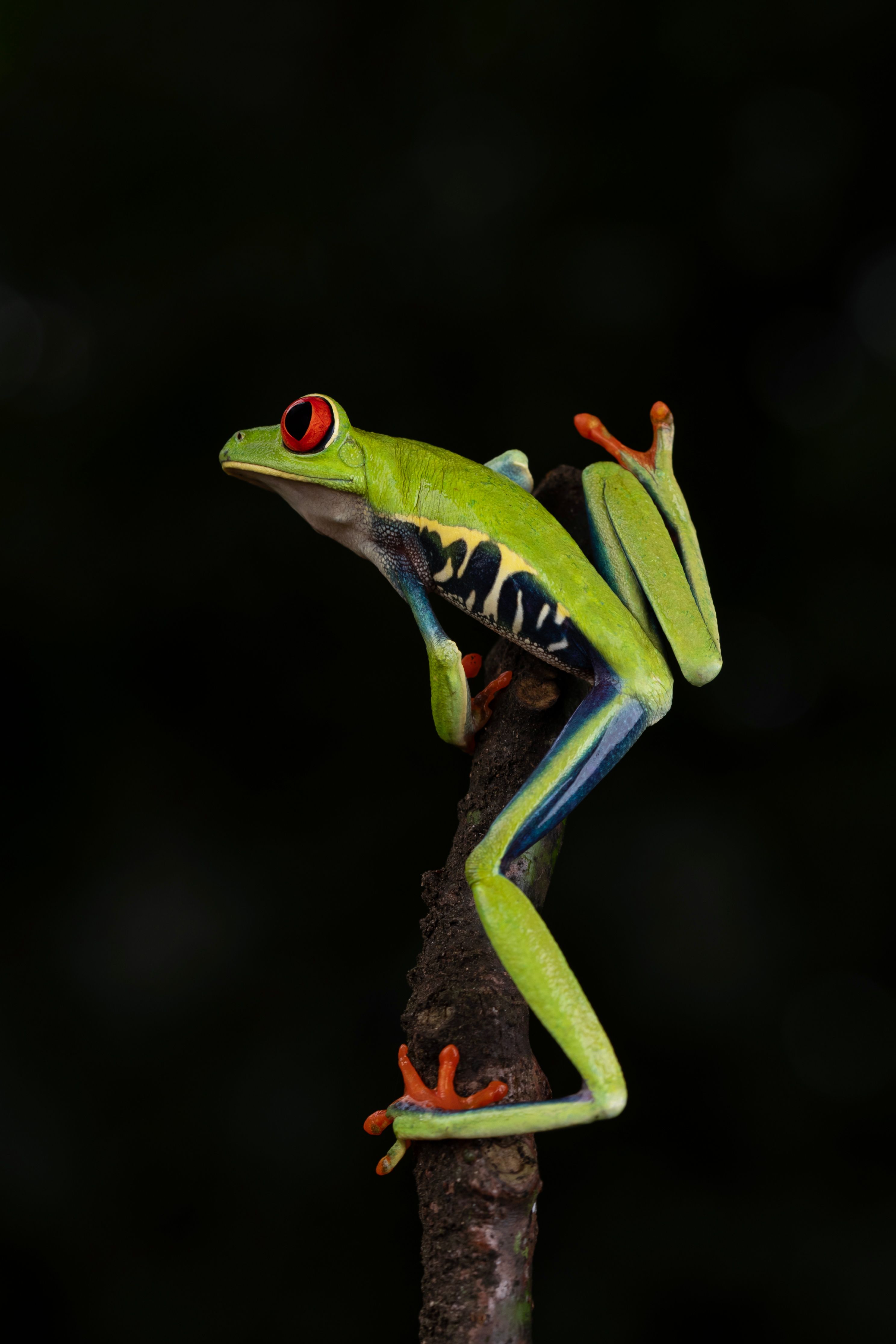 Natural Environment Photos, Download The BEST Free Natural Environment ...
