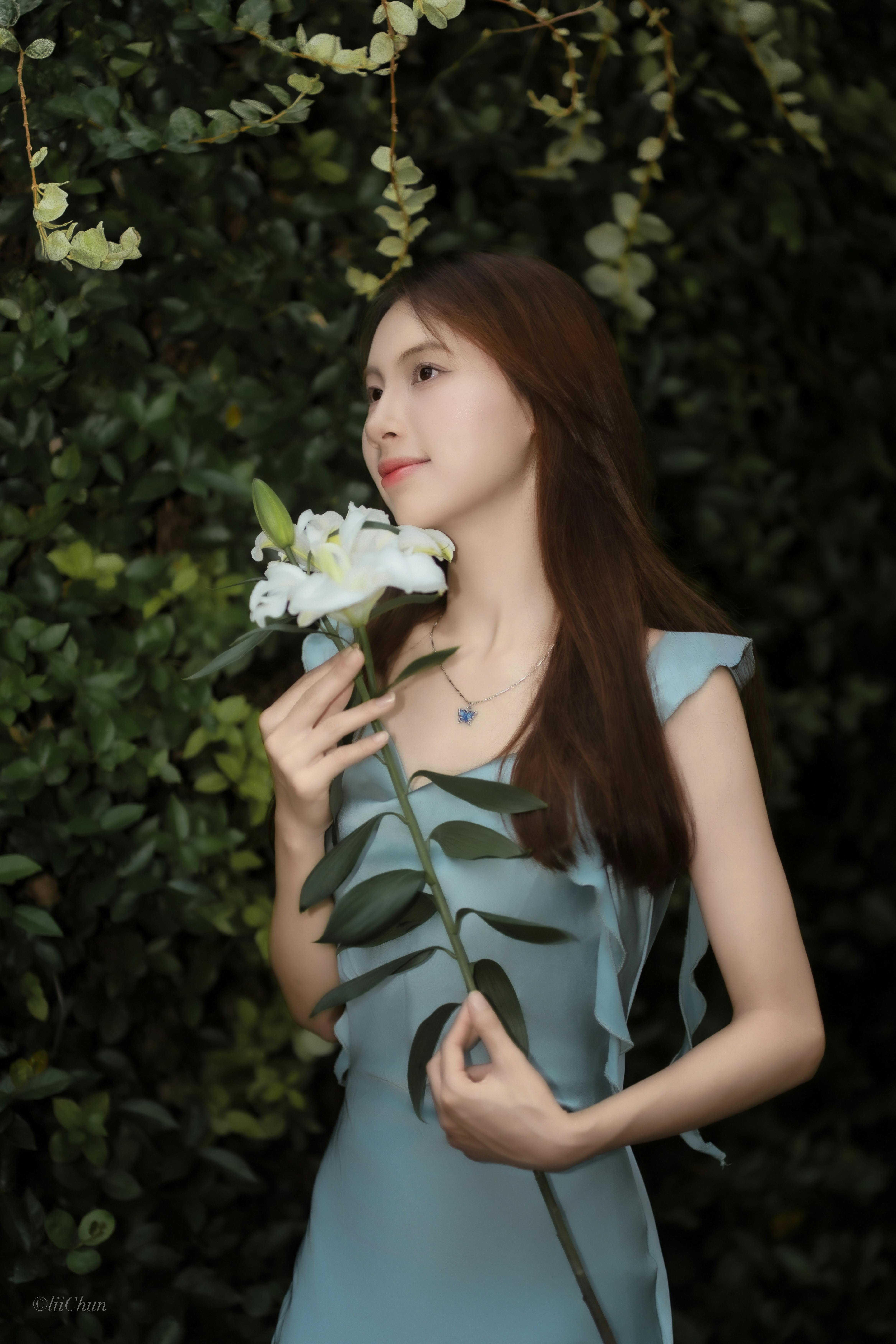 Revival Background Photos, Download The BEST Free Revival Background ...