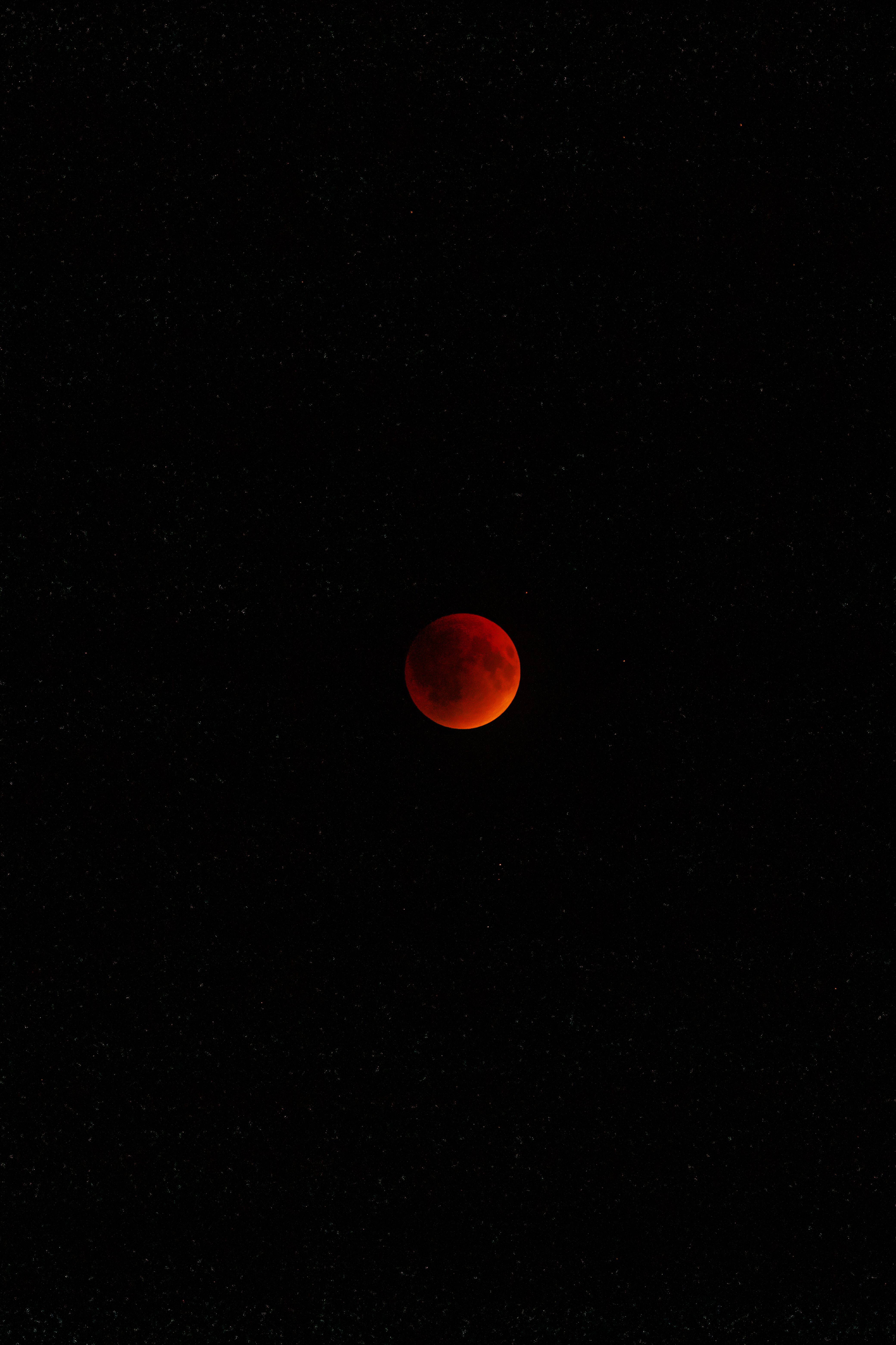 Spectacular Blood Moon Eclipse in Starry Night Sky · Free Stock Photo
