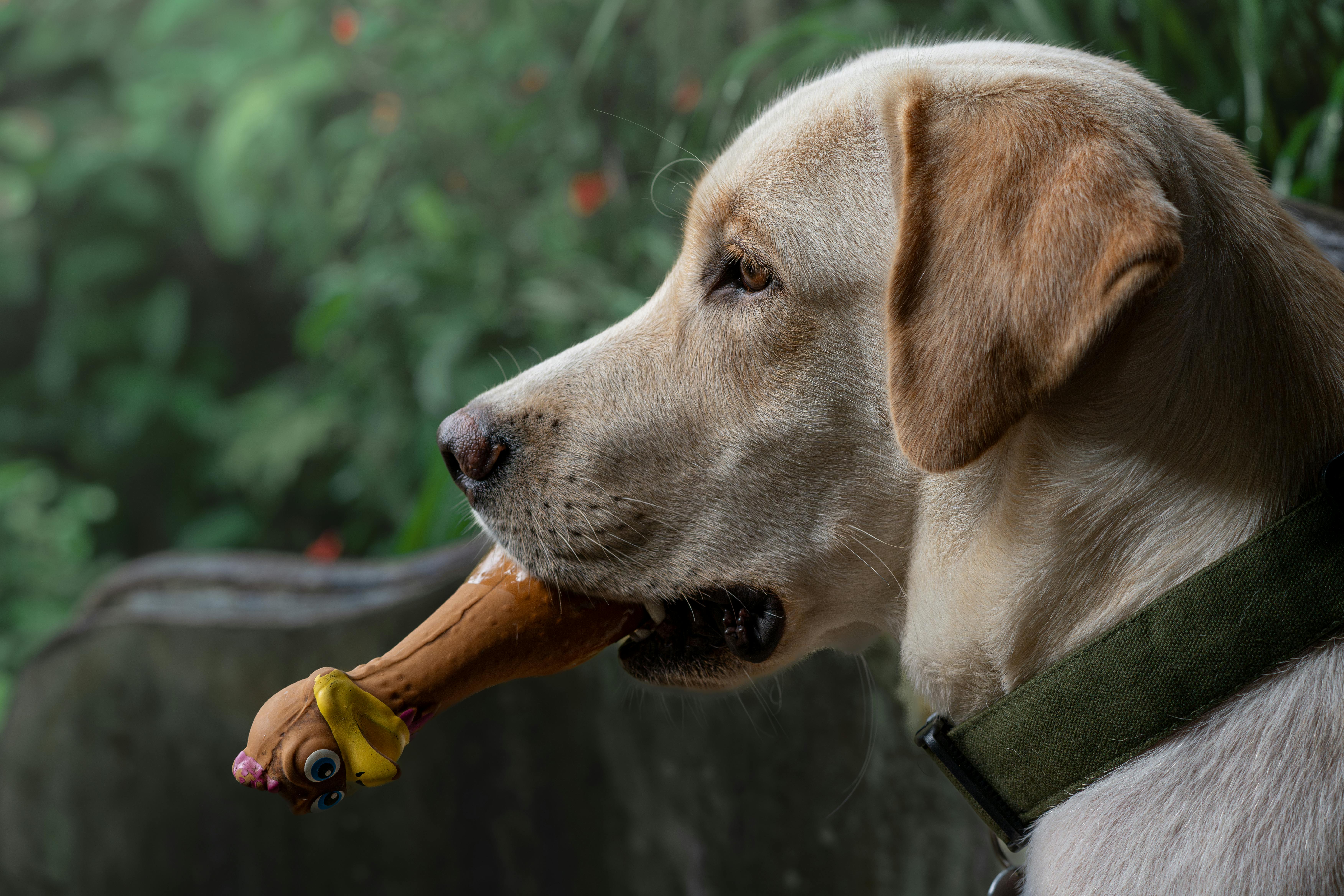 Tuff+Profile+Pics Photos, Download The BEST Free Tuff+Profile+Pics ...