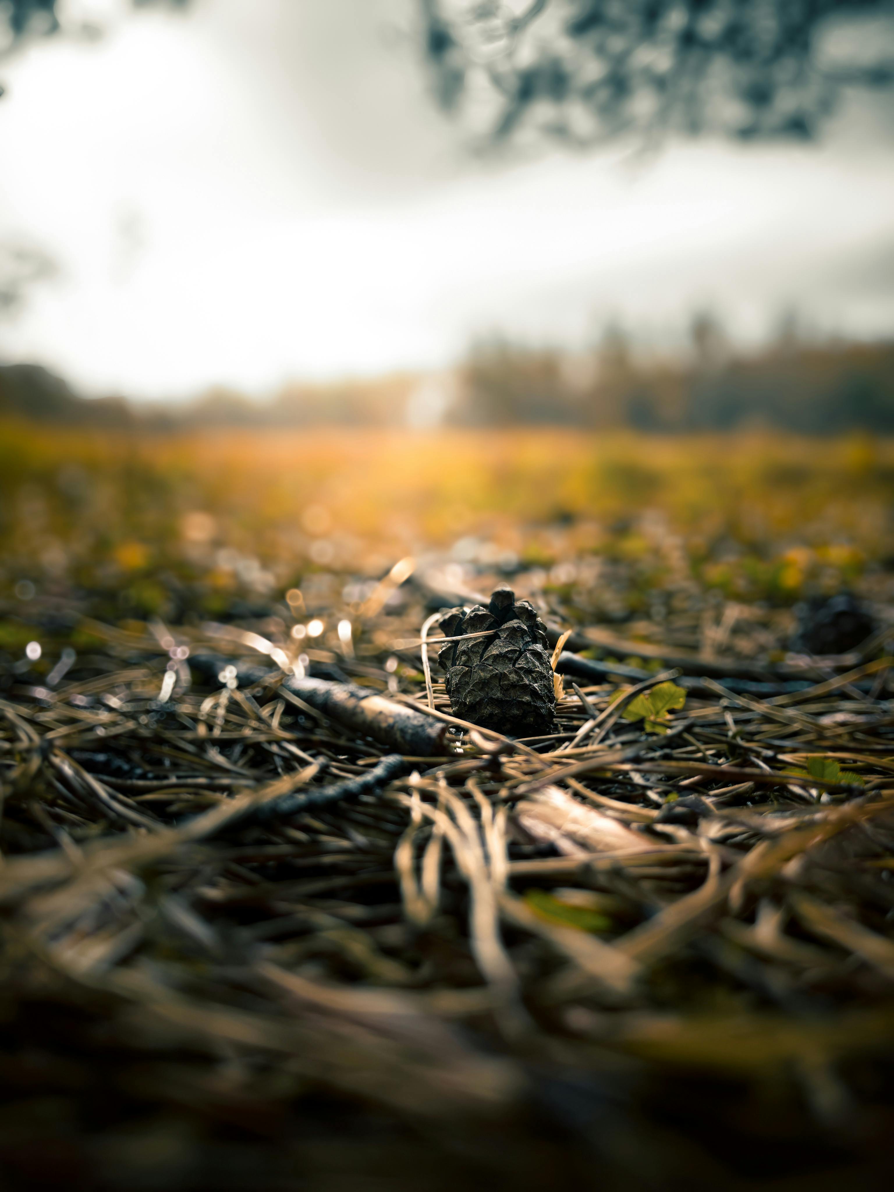 按不出吧一天n1按不出吧一天n1不陈按不出吧一天n1按不出吧一天n1不陈吧一天 Photos, Download The BEST Free ...