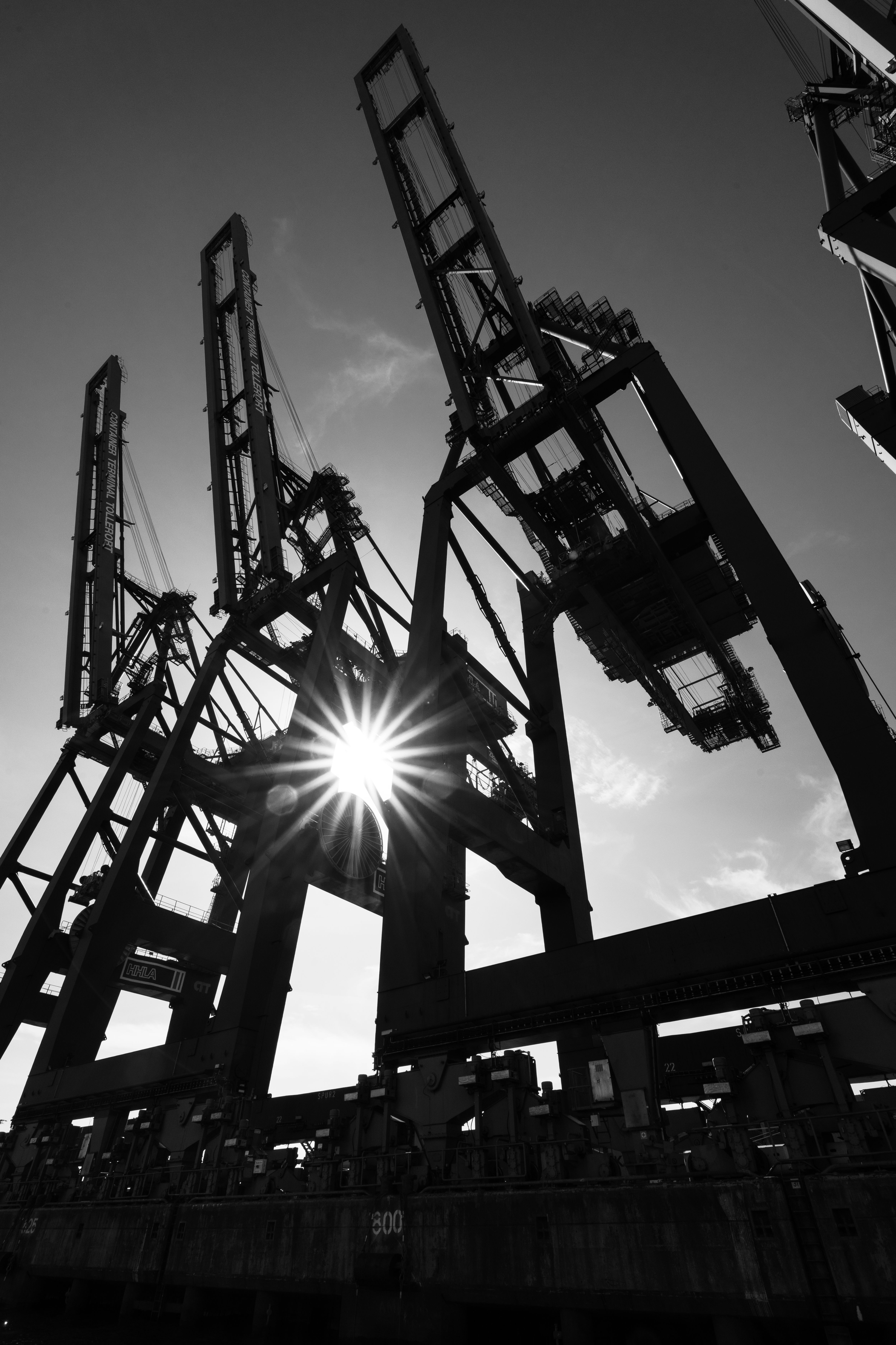 Giant Photos, Download The BEST Free Giant Stock Photos & HD Images