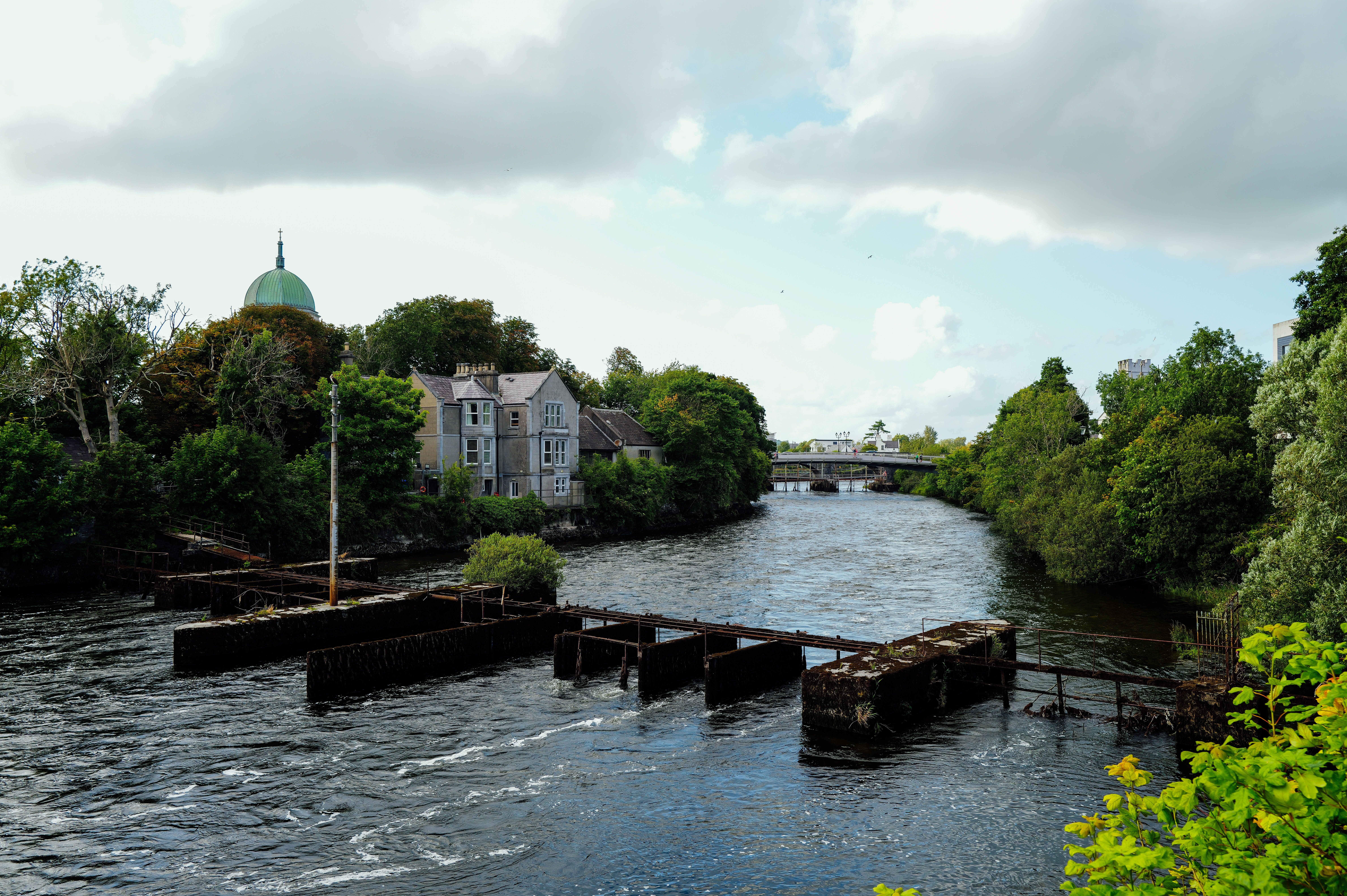 Riverside Houses and Bridge in a Lush Setting · Free Stock Photo