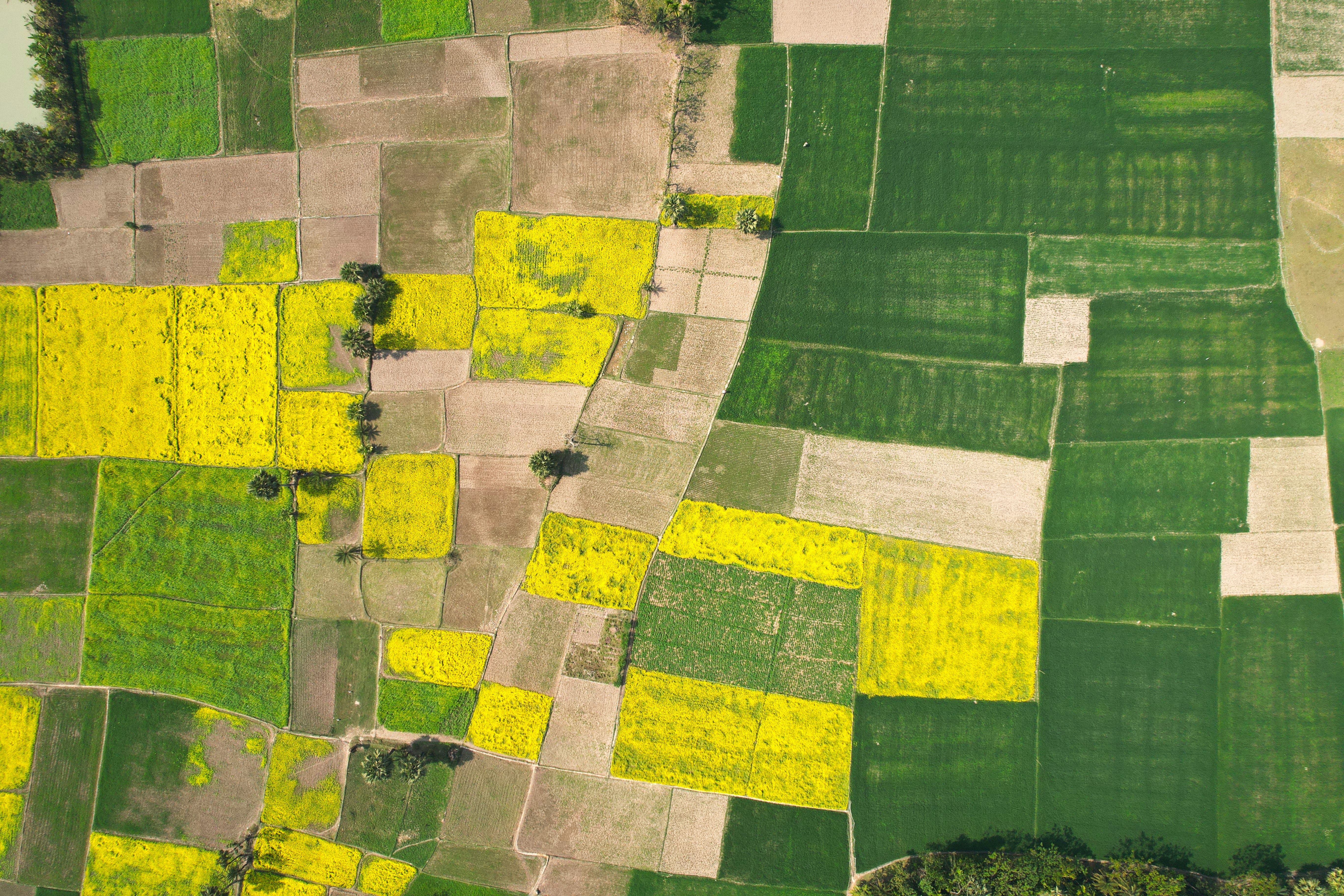 Aerial View of Vibrant Patchwork Fields in Bangladesh · Free Stock Photo