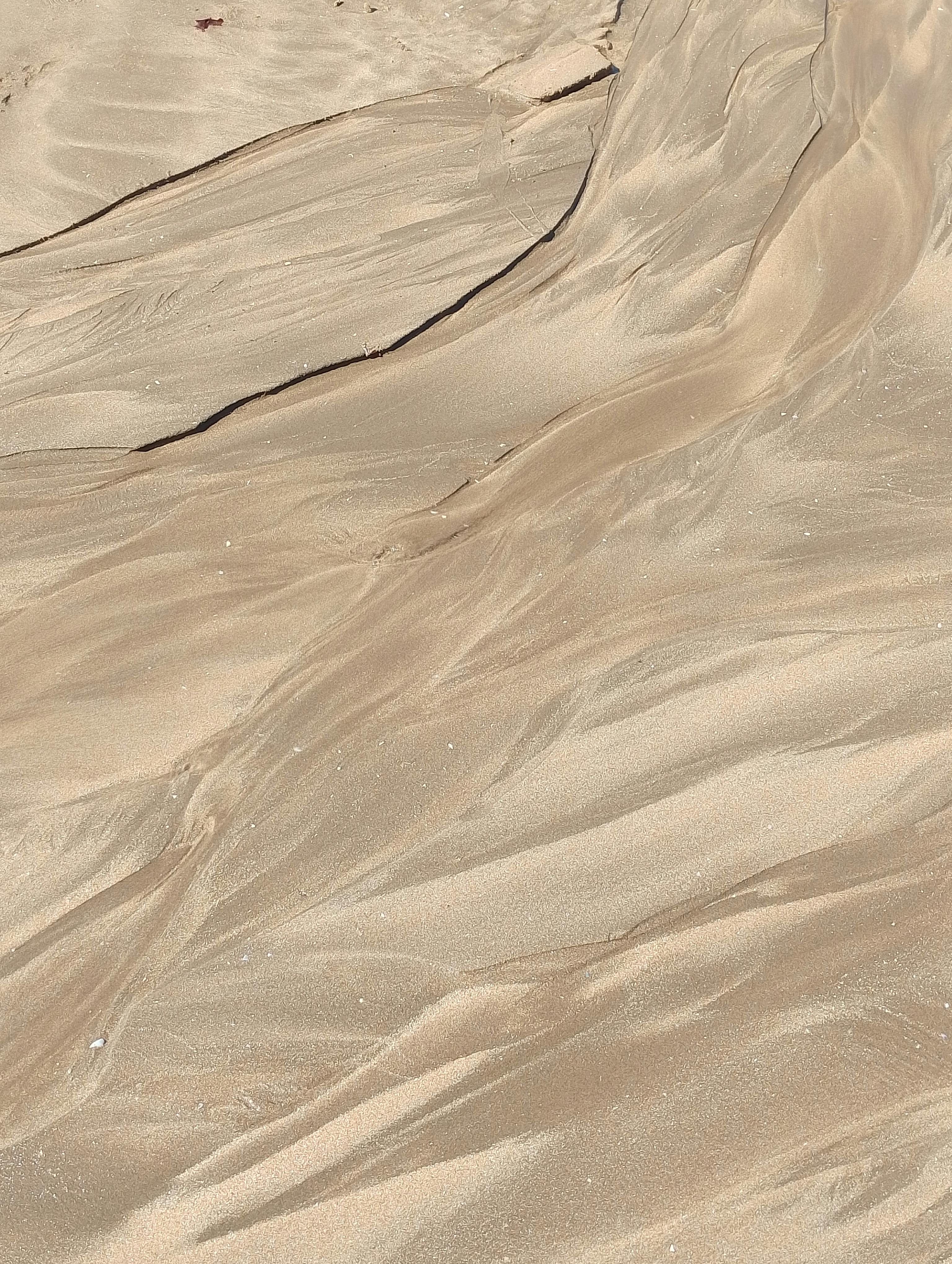 Drawings Photos, Download The BEST Free Drawings Stock Photos & HD Images