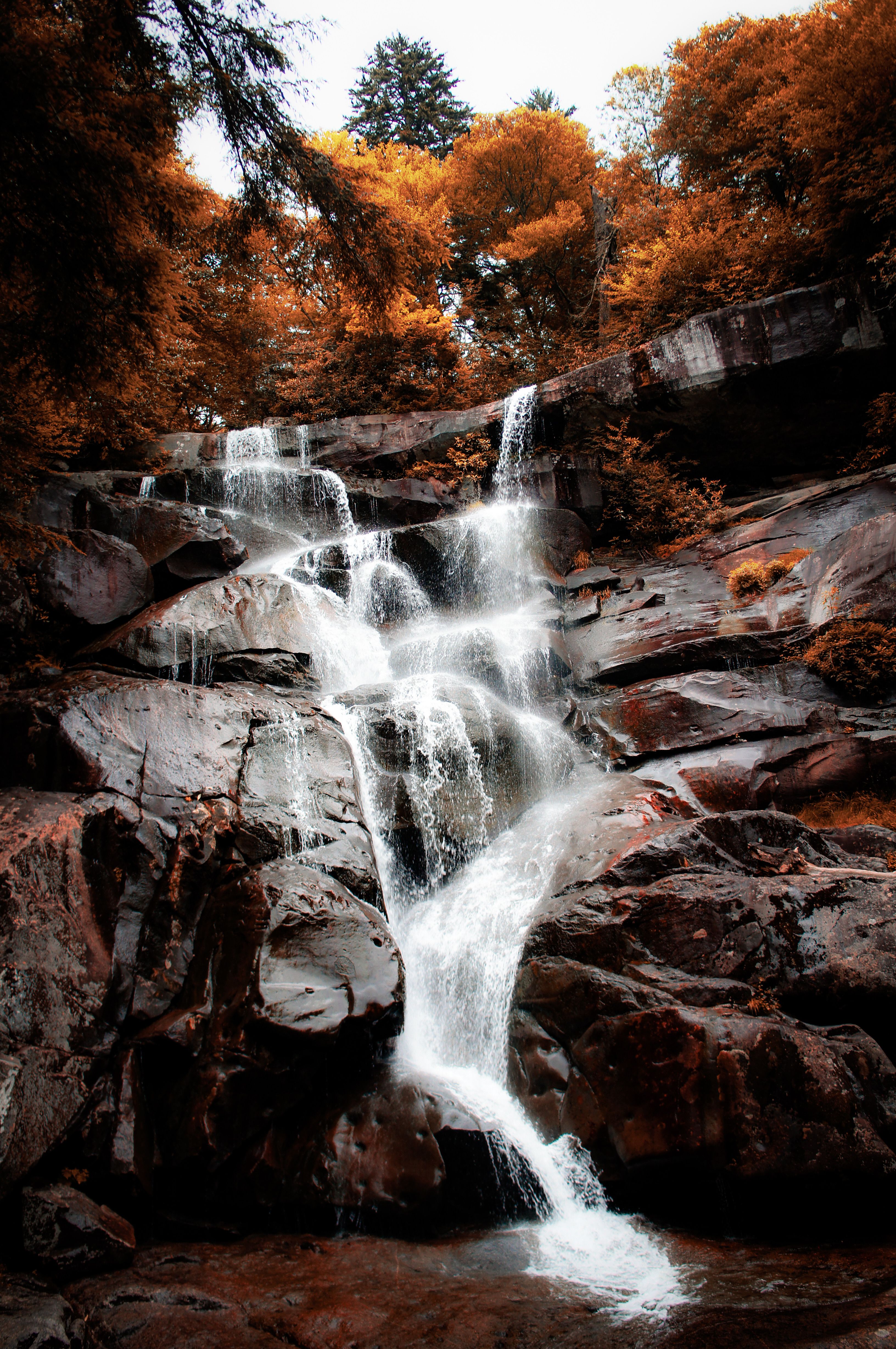Stunning Autumn Waterfall in Forest Setting · Free Stock Photo