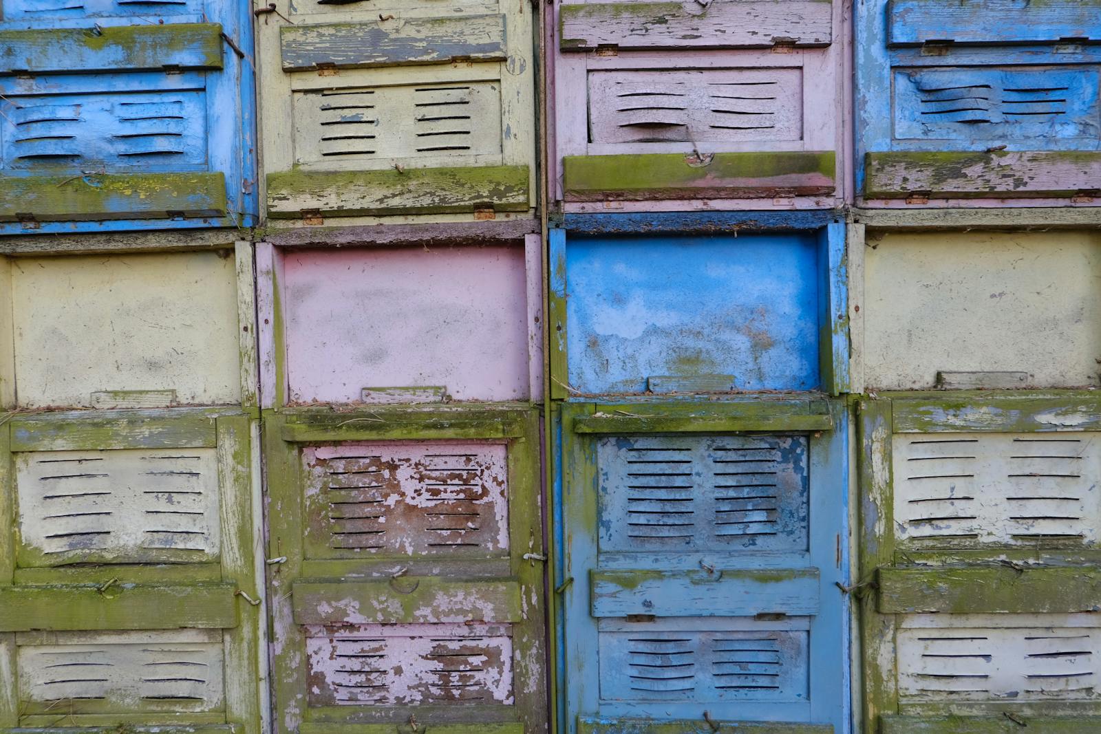 Shutter Photos, Download The BEST Free Shutter Stock Photos & HD Images