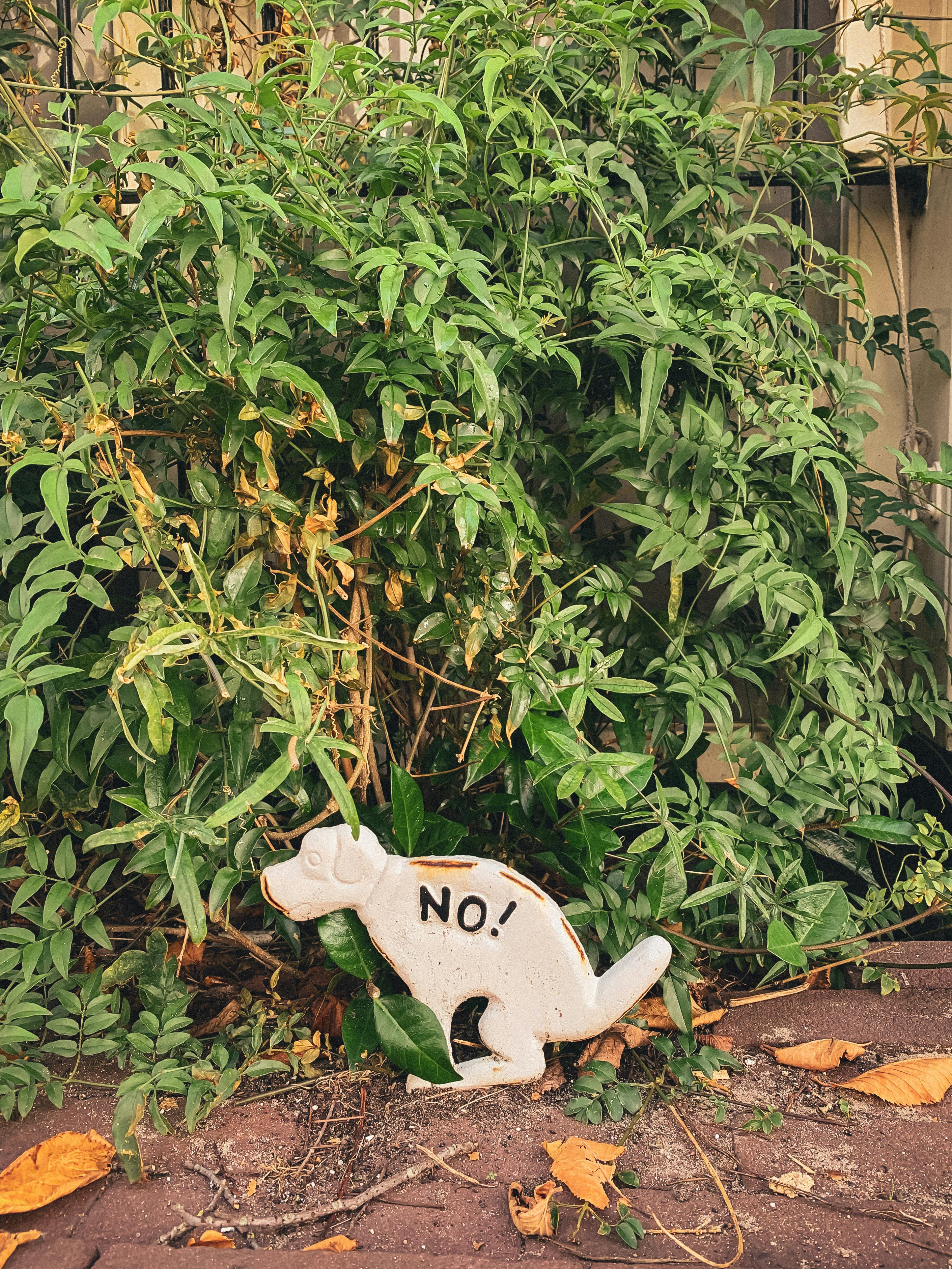 Women+Peeing+And+Pooping Photos, Download The BEST Free Women+Peeing ...