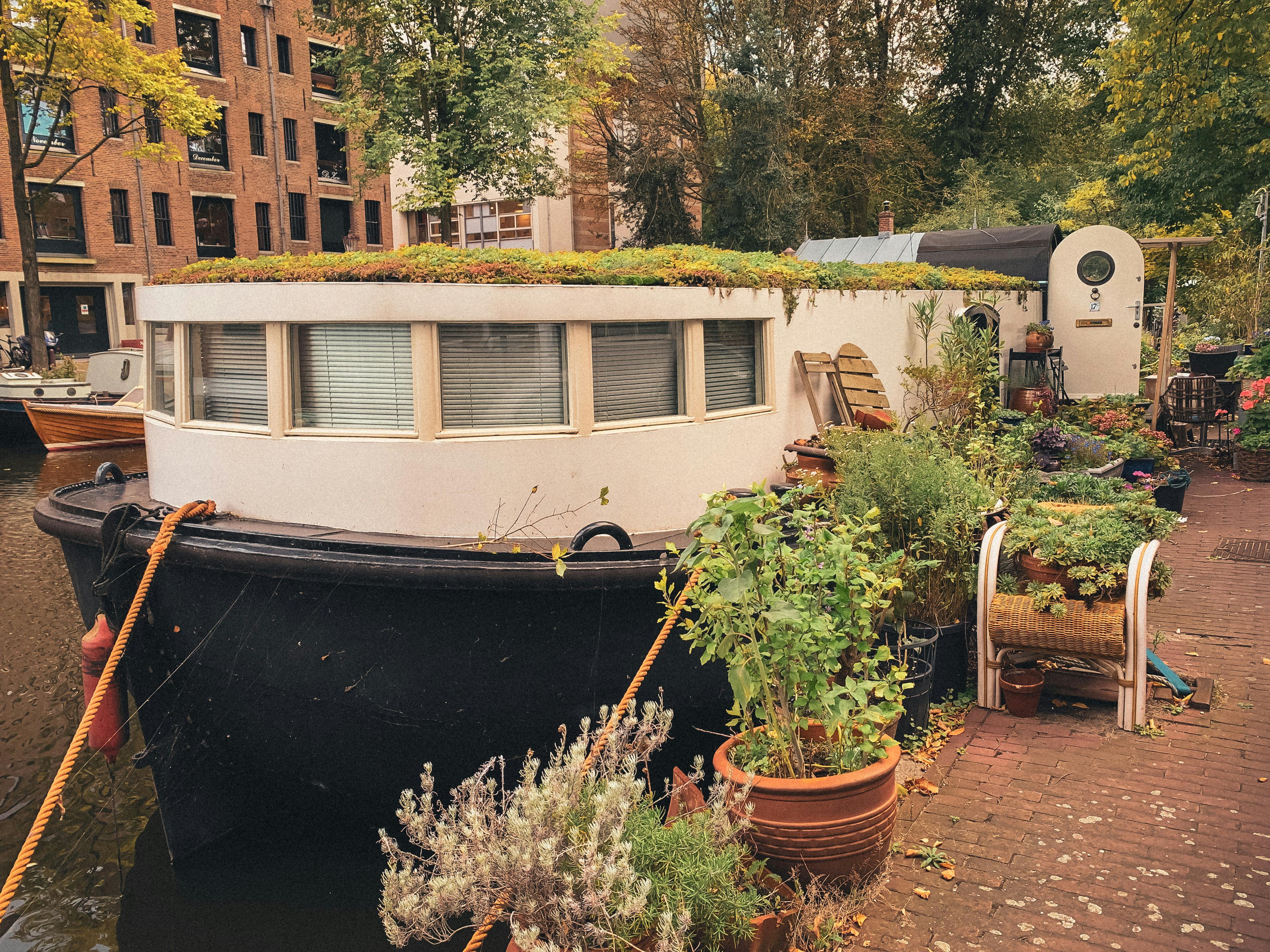 Spider+Solitaire+Brown+Background Photos, Download The BEST Free Spider ...