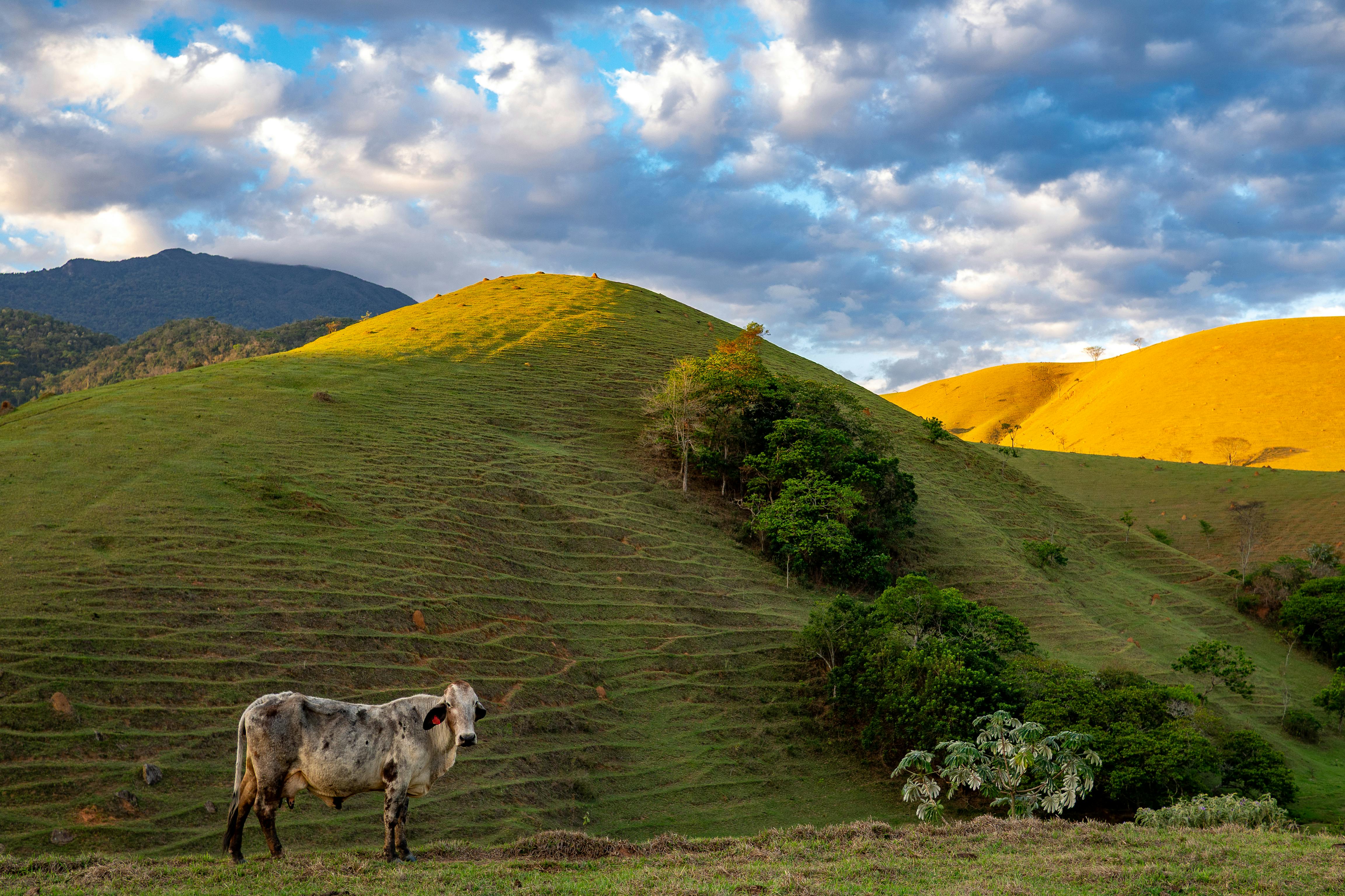Sun Weather Photos, Download The BEST Free Sun Weather Stock Photos ...