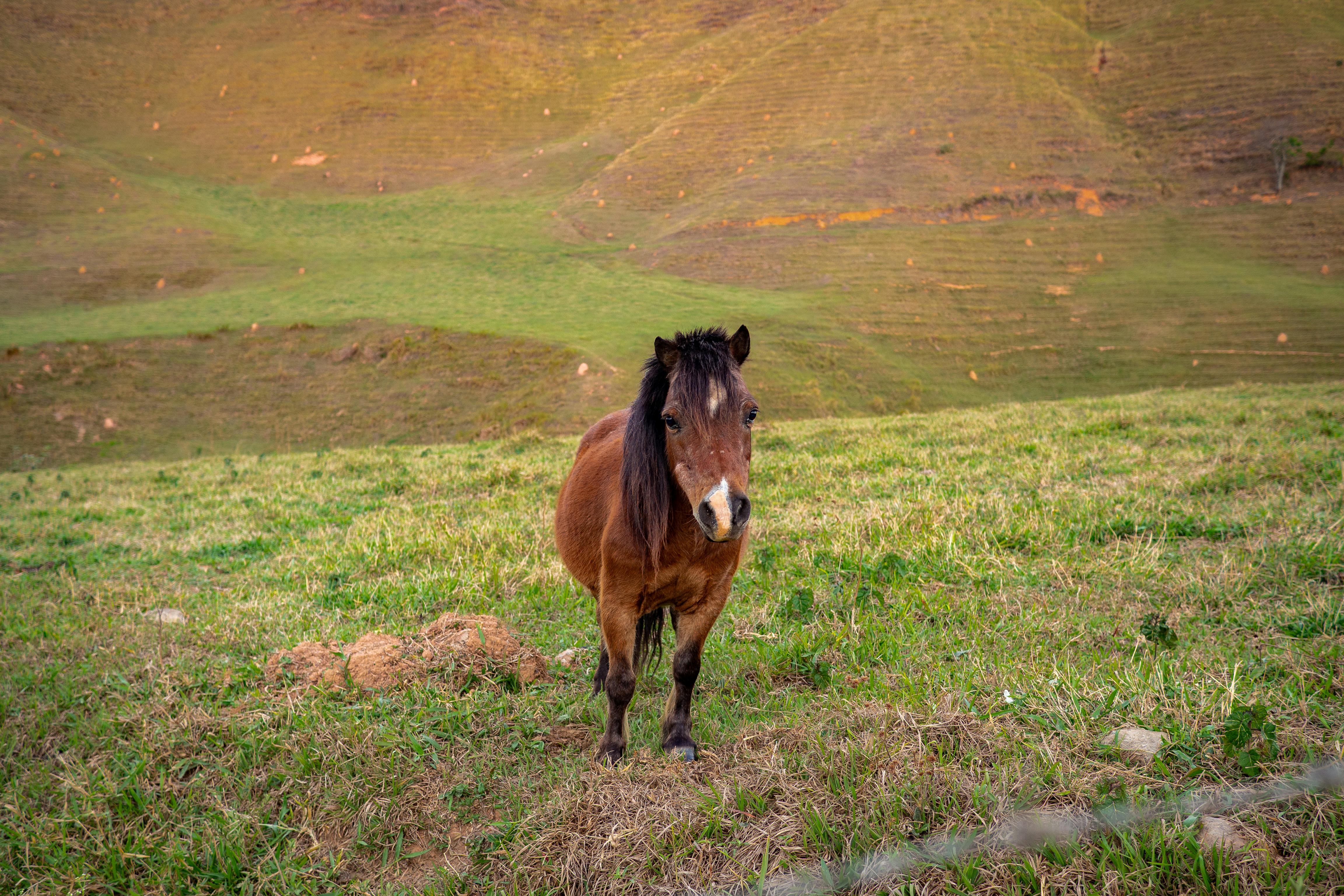 Free Pinterest Photos, Download The BEST Free Free Pinterest Stock ...