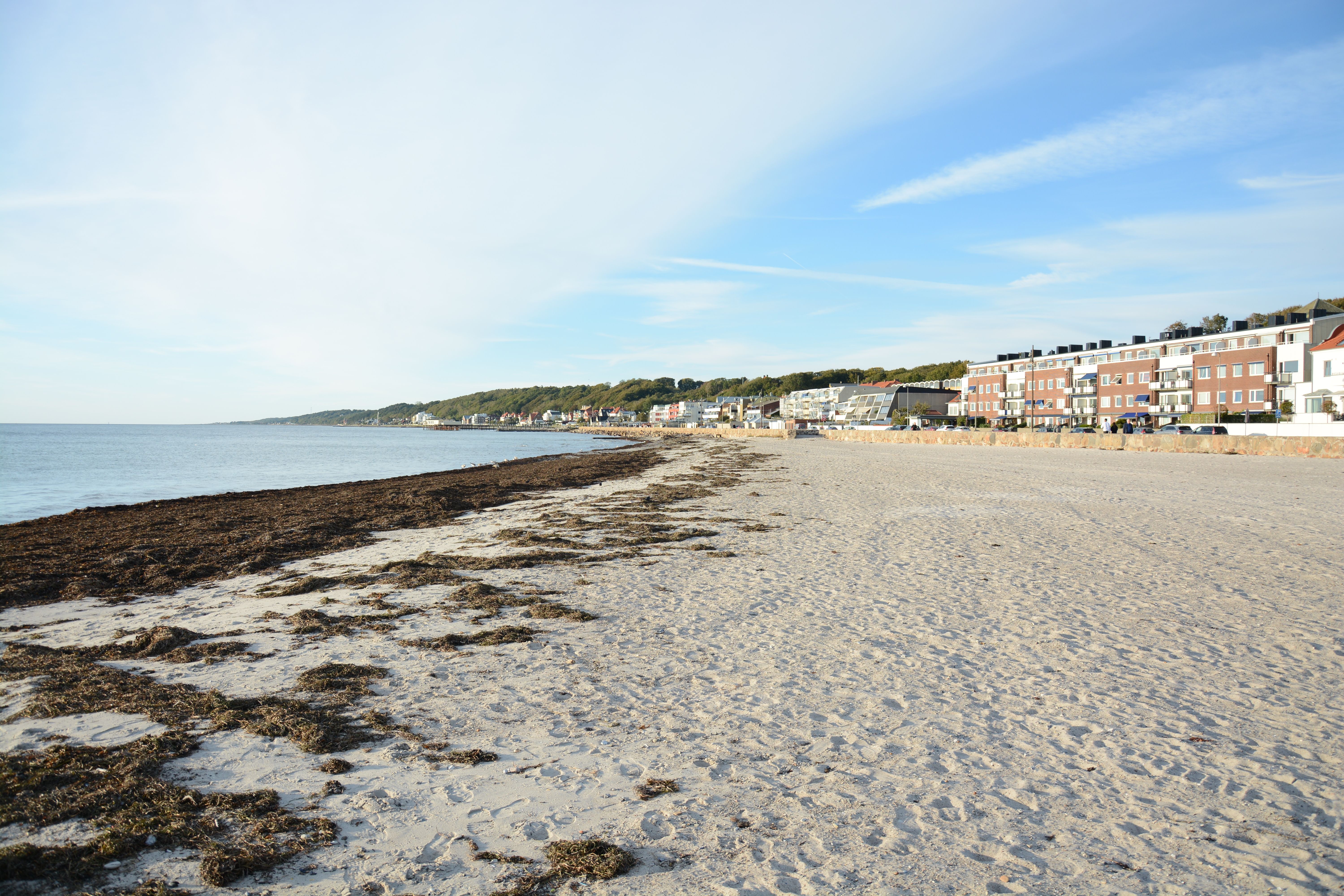 Scenic Sandy Beach with Coastal Buildings · Free Stock Photo