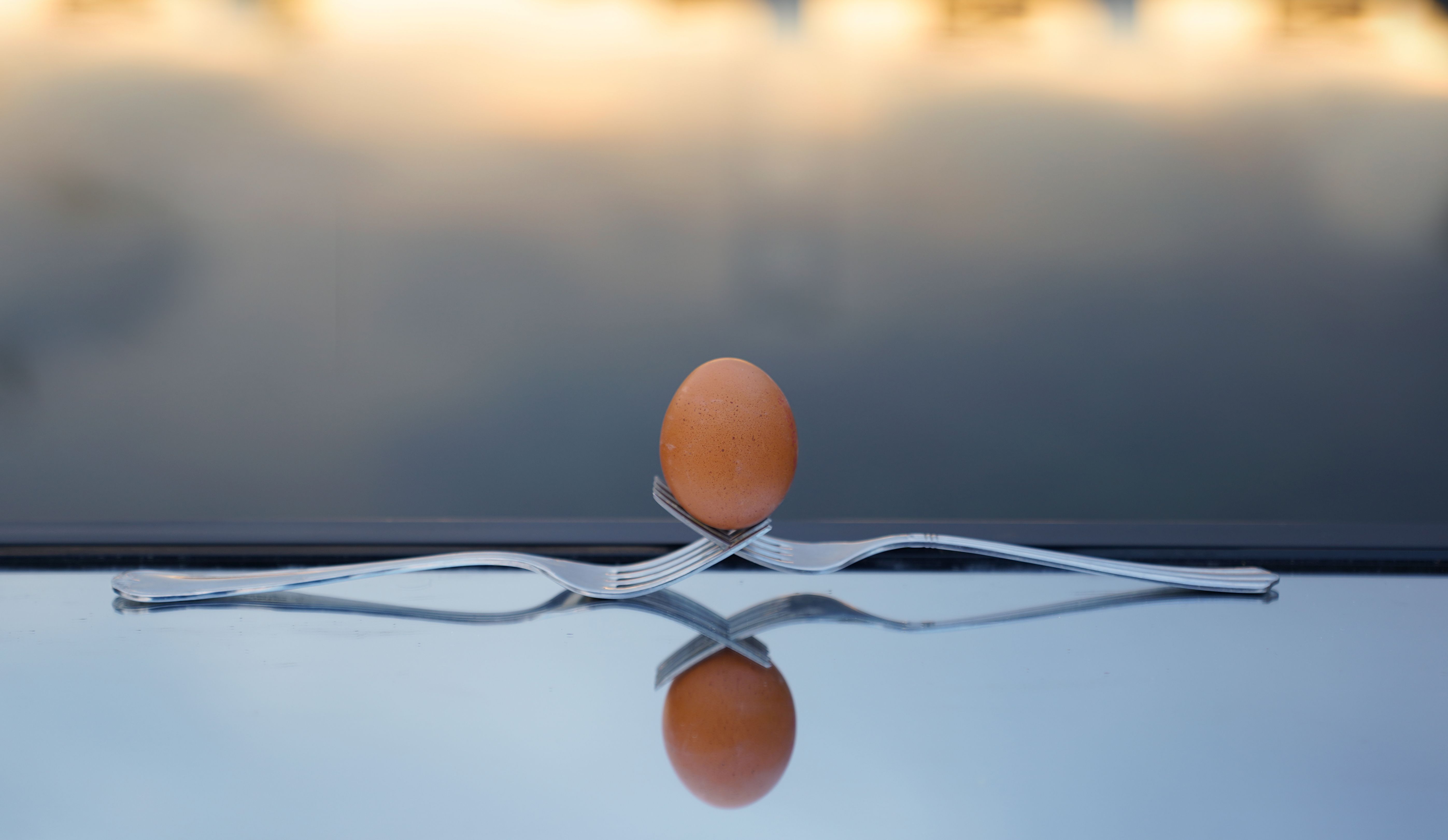 Balancing Egg on Forks with Reflections · Free Stock Photo