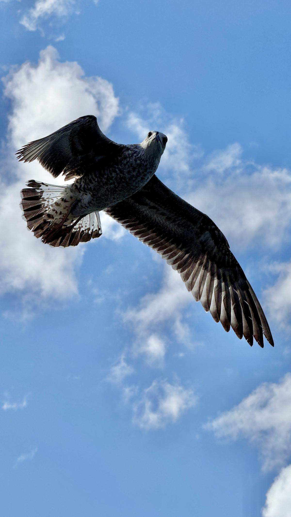 Free Pic Photos, Download The BEST Free Free Pic Stock Photos & HD Images