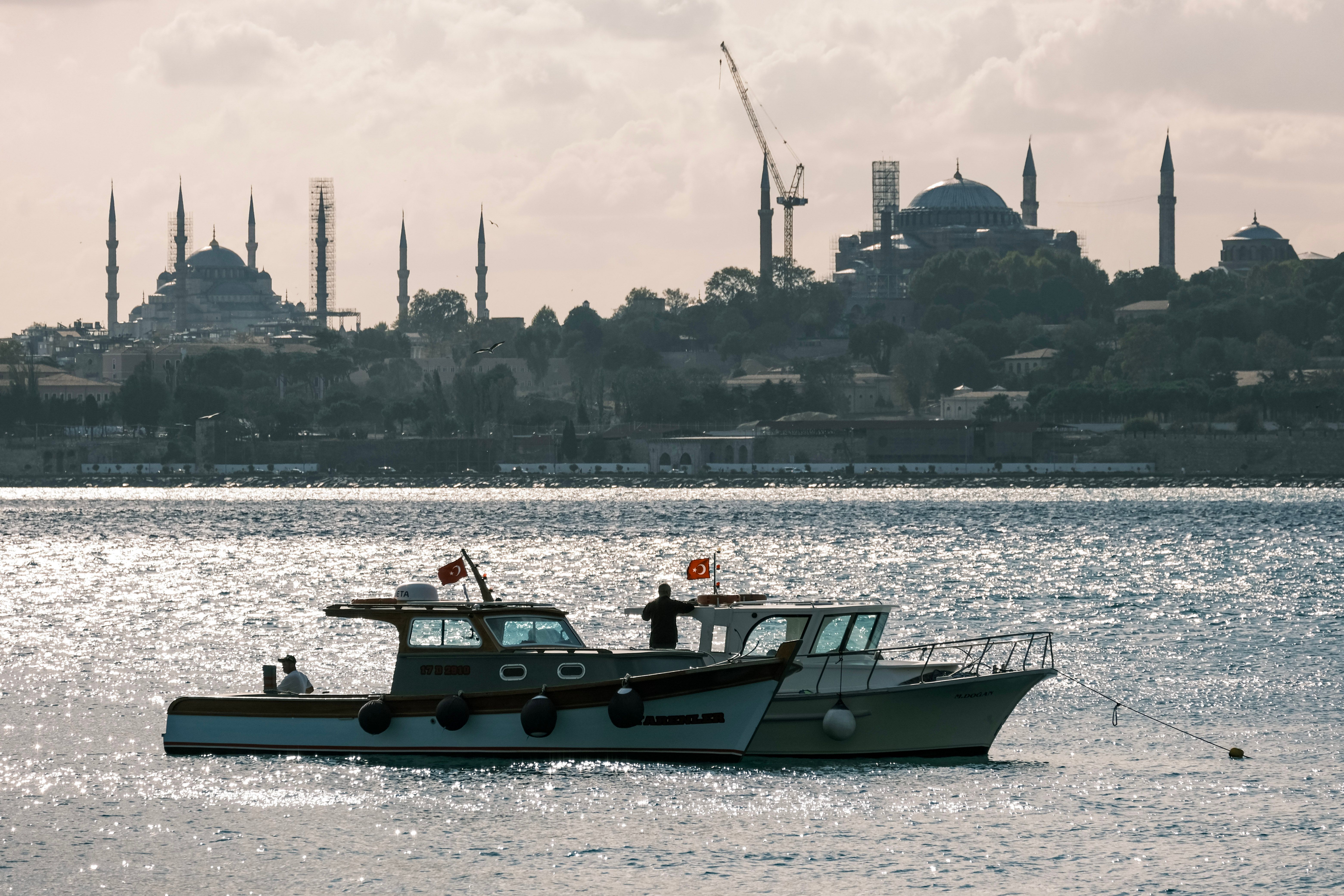 Turkish Pridge Photos, Download The BEST Free Turkish Pridge Stock ...