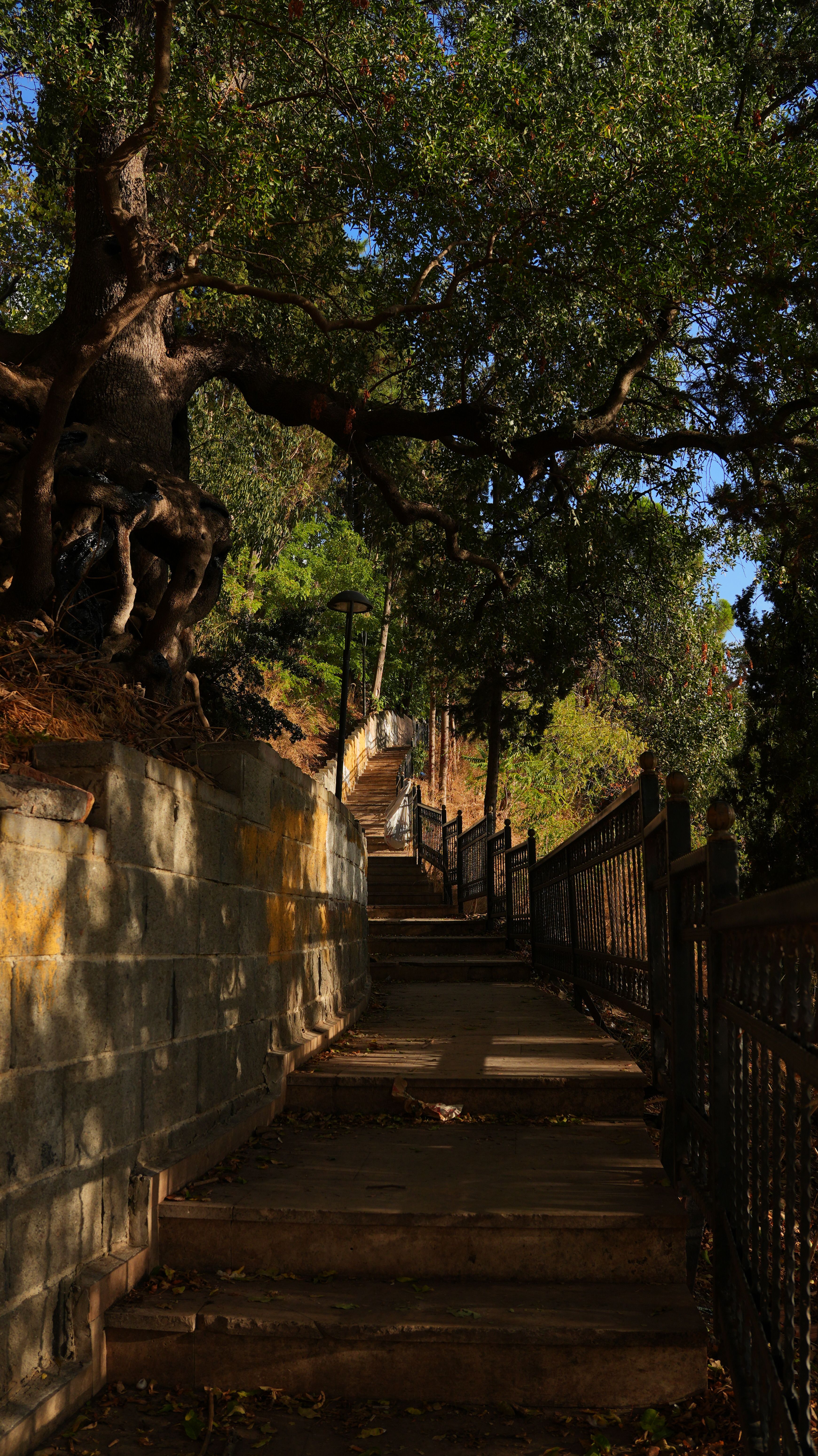 Rustic Stone Stairway Through Forest in Fall · Free Stock Photo