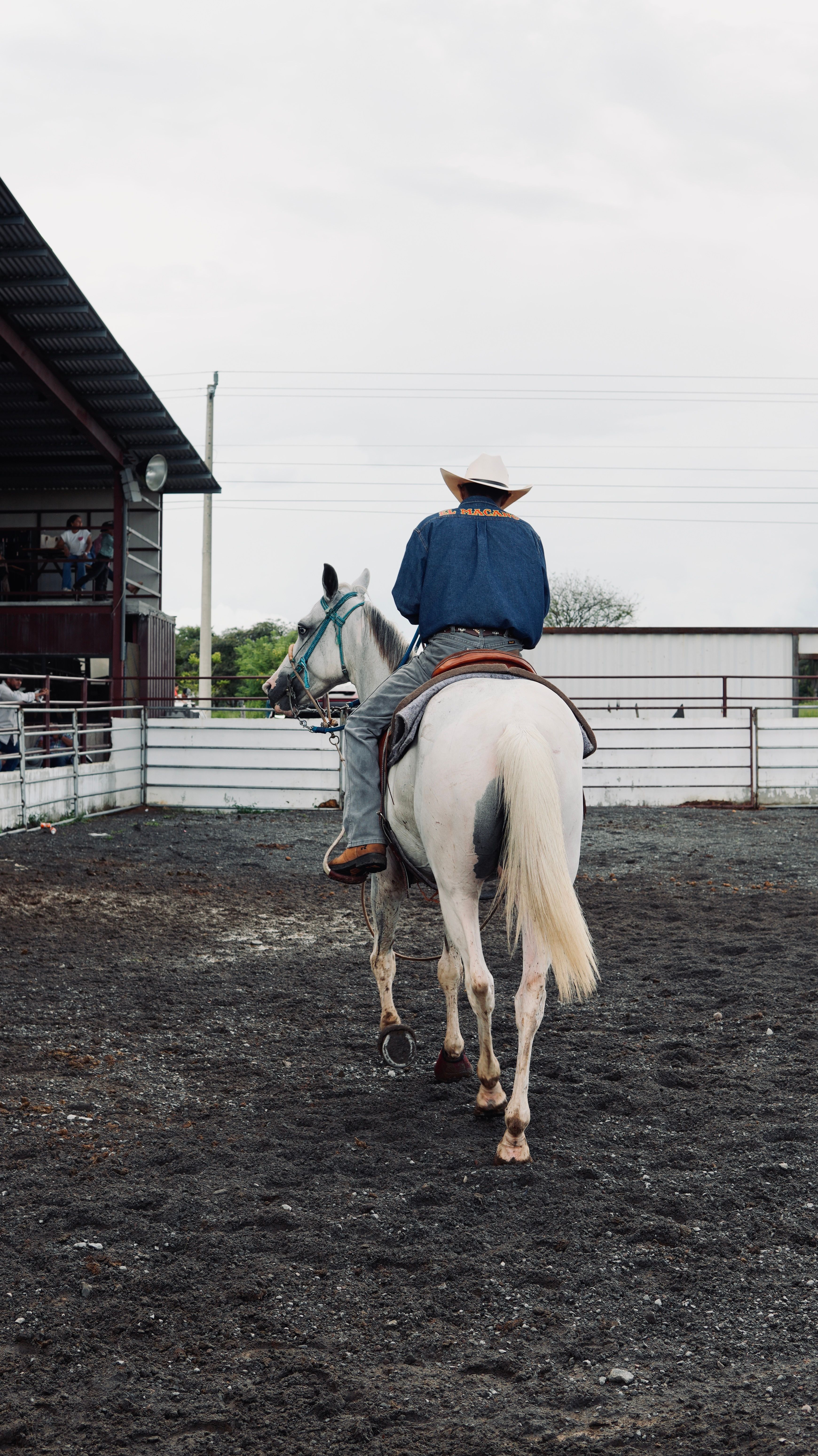 Western Cowboy Riding Horse Ranch Photos, Download The BEST Free ...