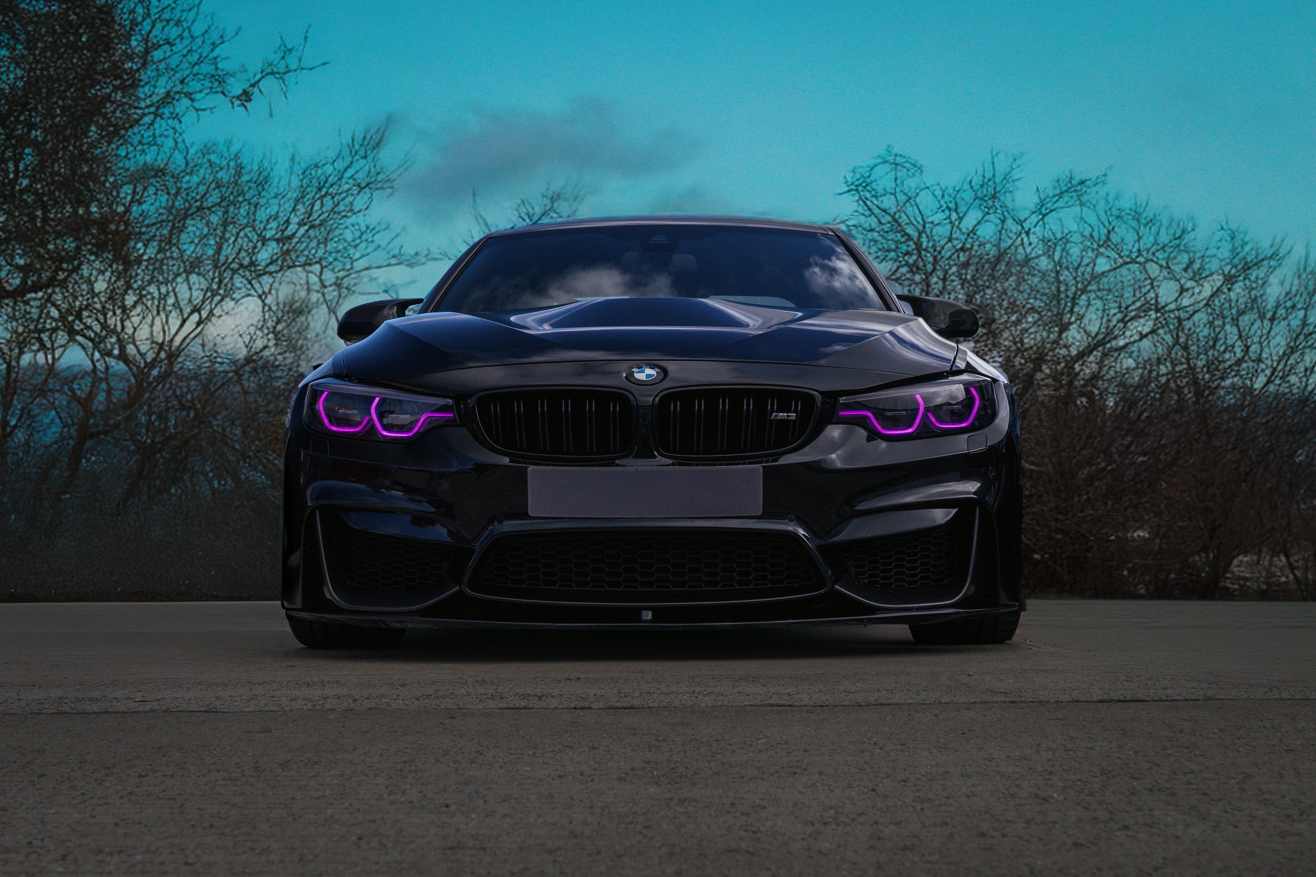 Hood Photos, Download The BEST Free Hood Stock Photos & HD Images